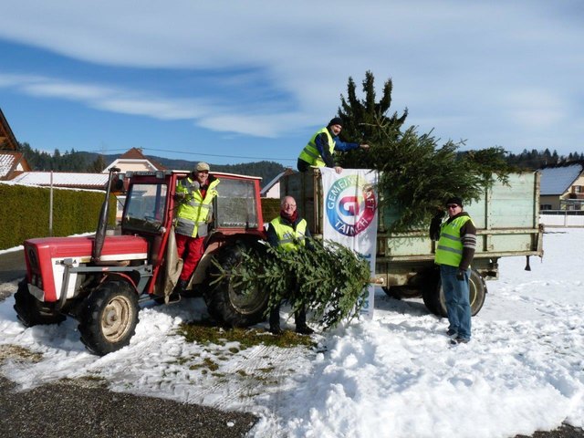 Gemeinschaft Tainach entsorgte Christbäume - Völkermarkt