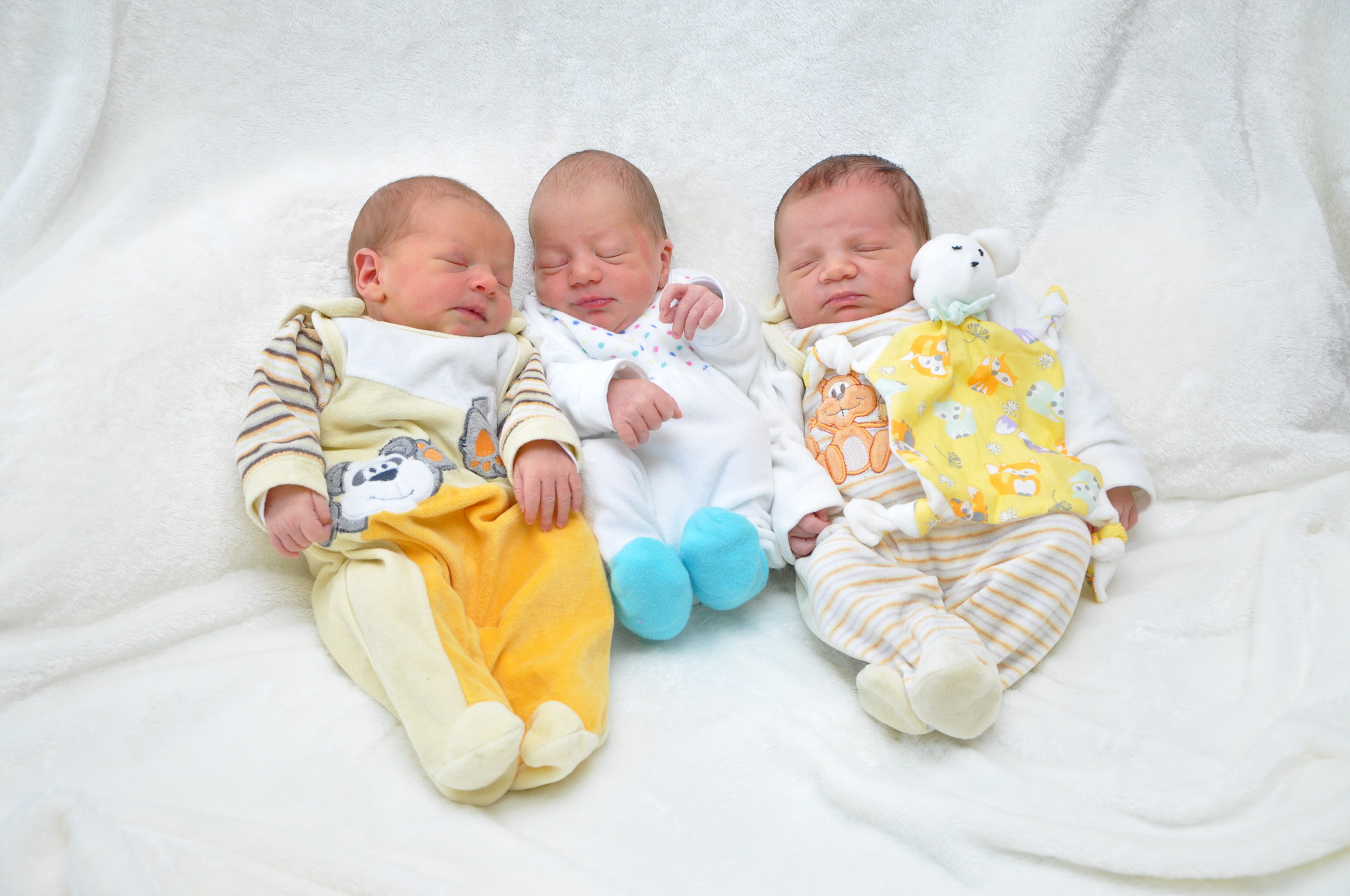 So ein entzückendes Baby-Trio! - Freistadt