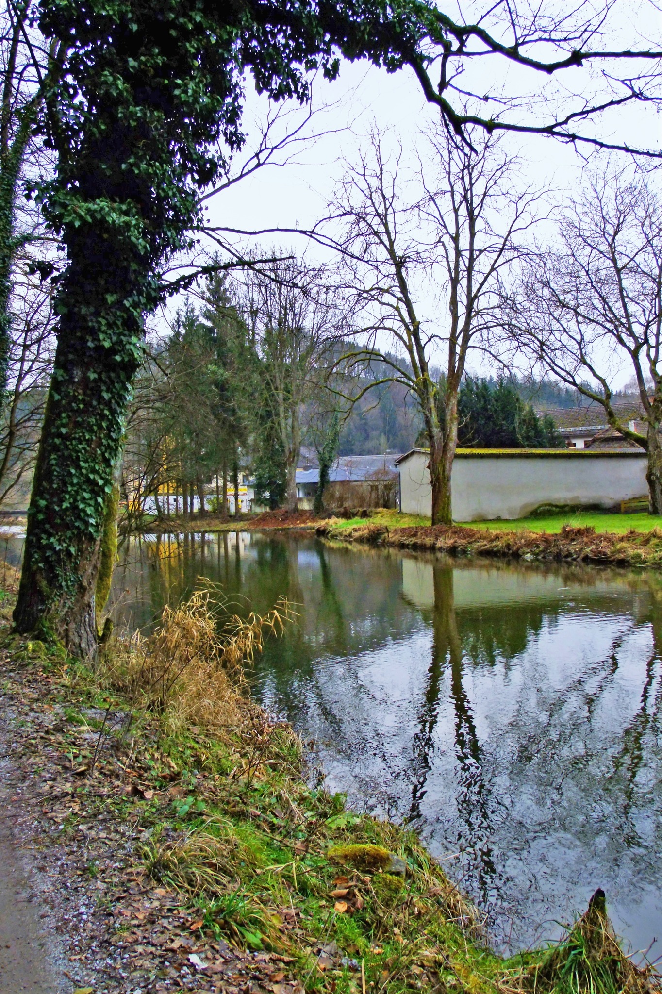 Die Rodl in Rottenegg - Linz
