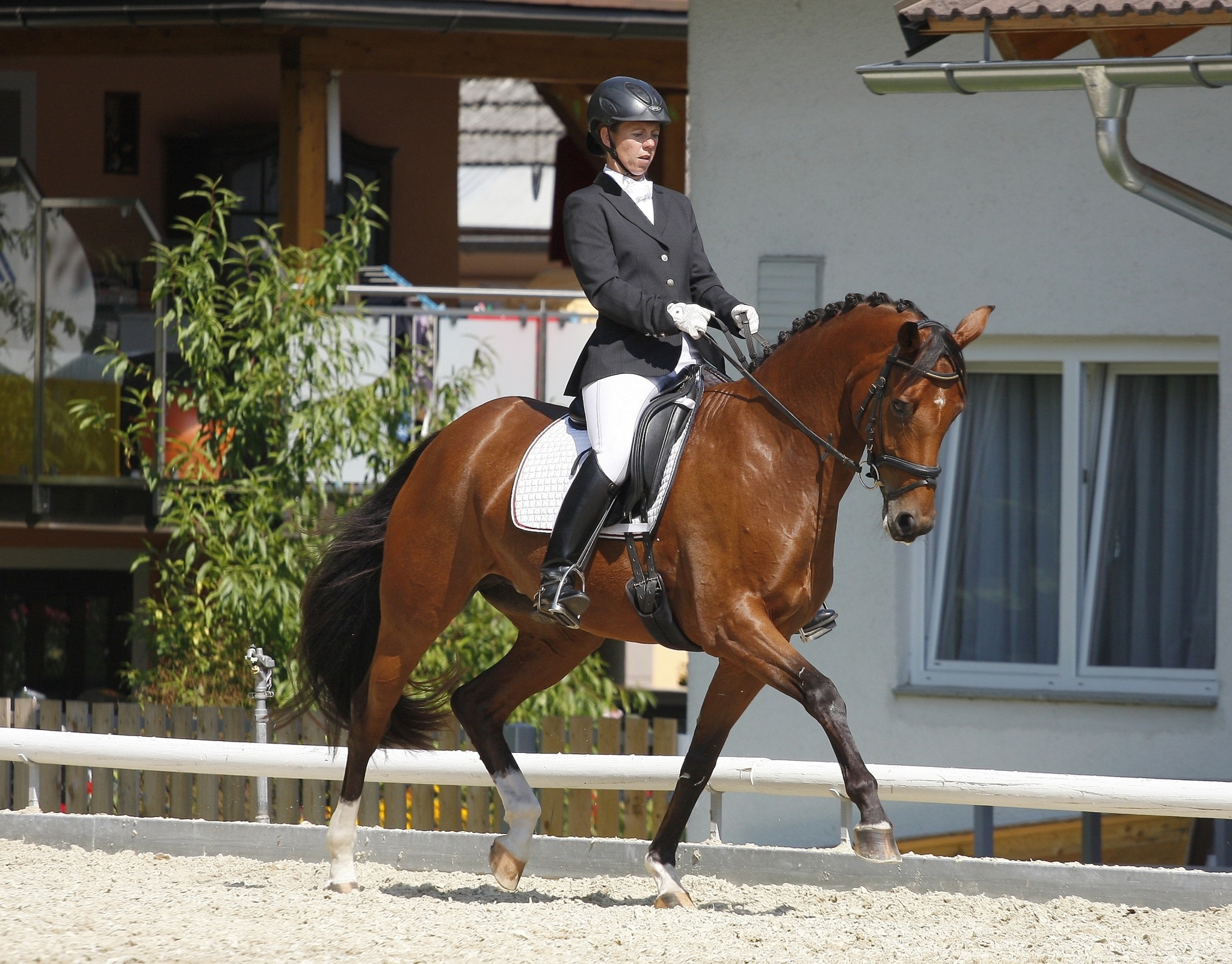 Daniela Weiß im nationalen Profireitsport Spitze - Lavanttal