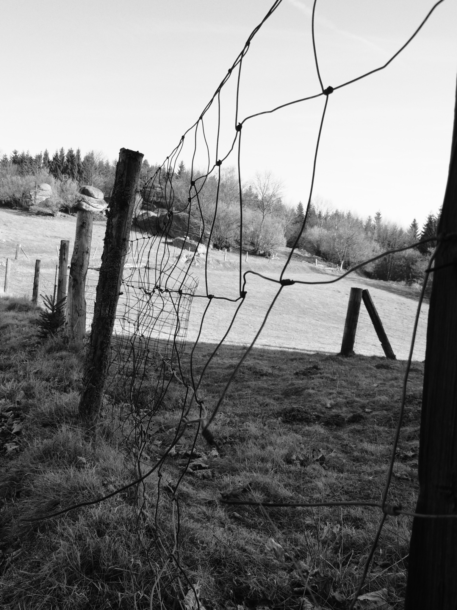 die Grenzen erkennen - Horn