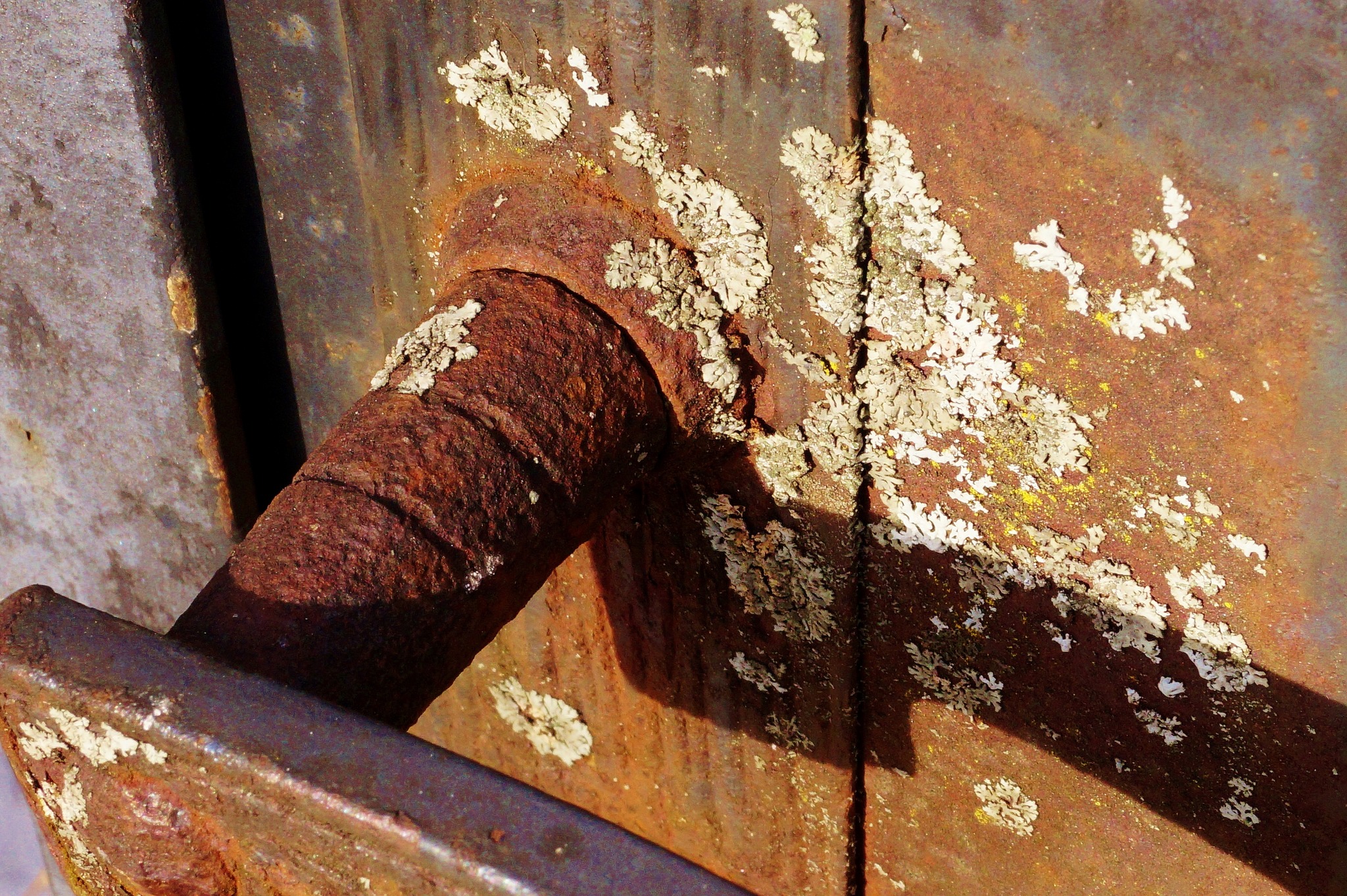 Da nagt der Rost - Innsbruck