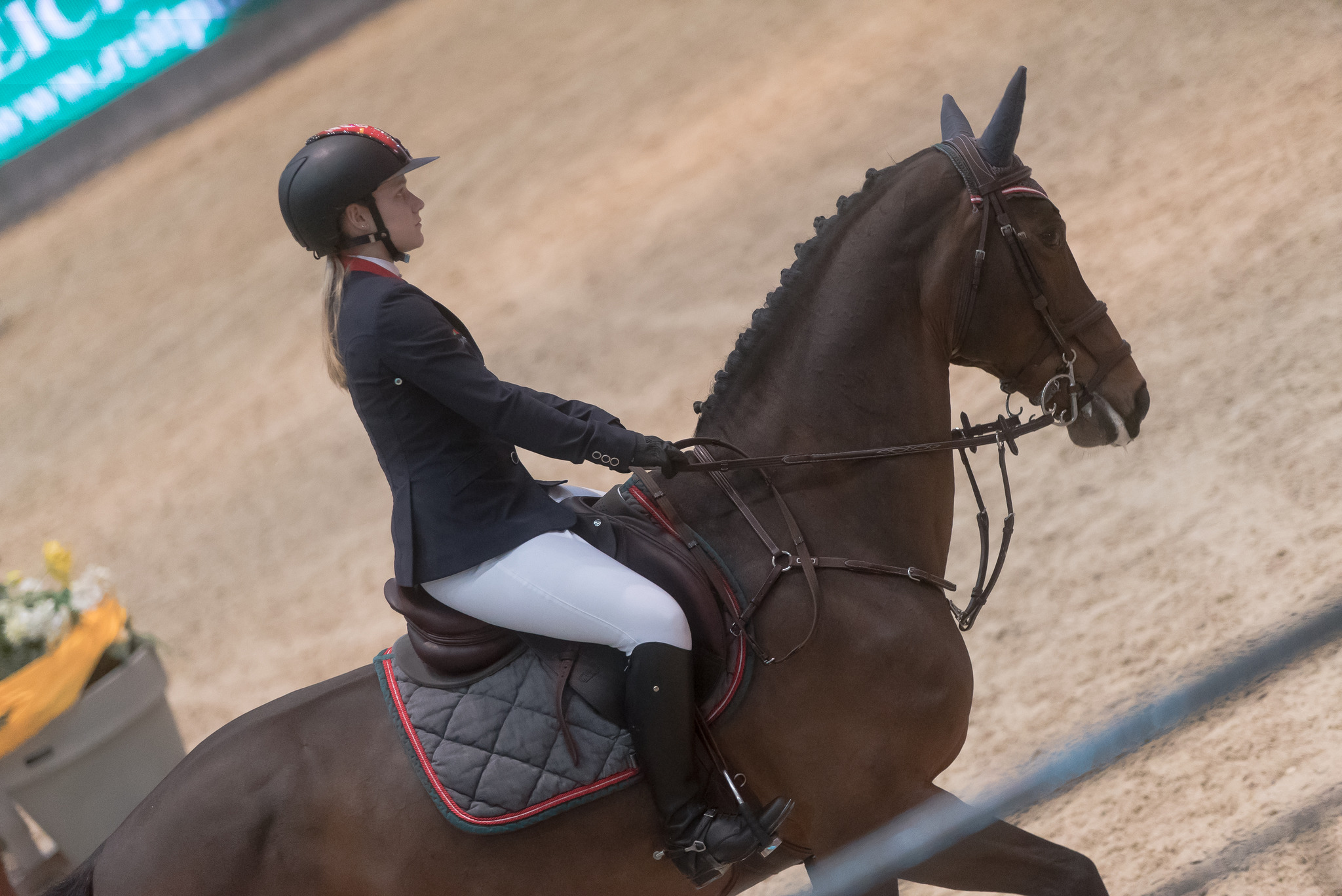 MAGNA RACINO Pferdesport News/ Springreiten: Erfolgreiches Wochenende ...