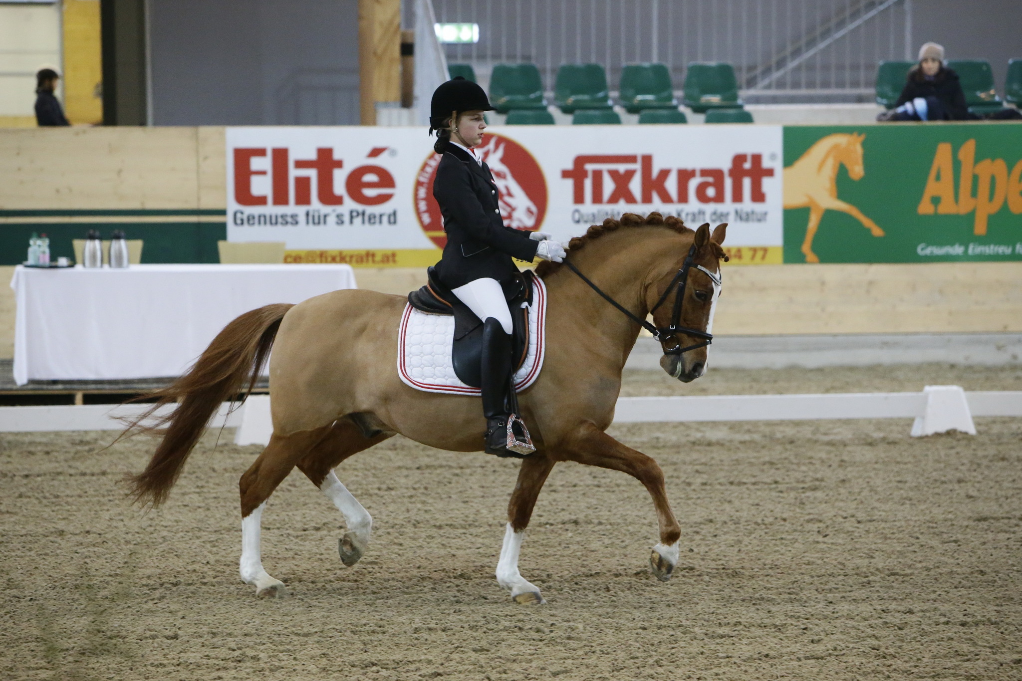 MAGNA RACINO Pferdesport News/ Dressurreiten: Der Countdown zur Dressur ...