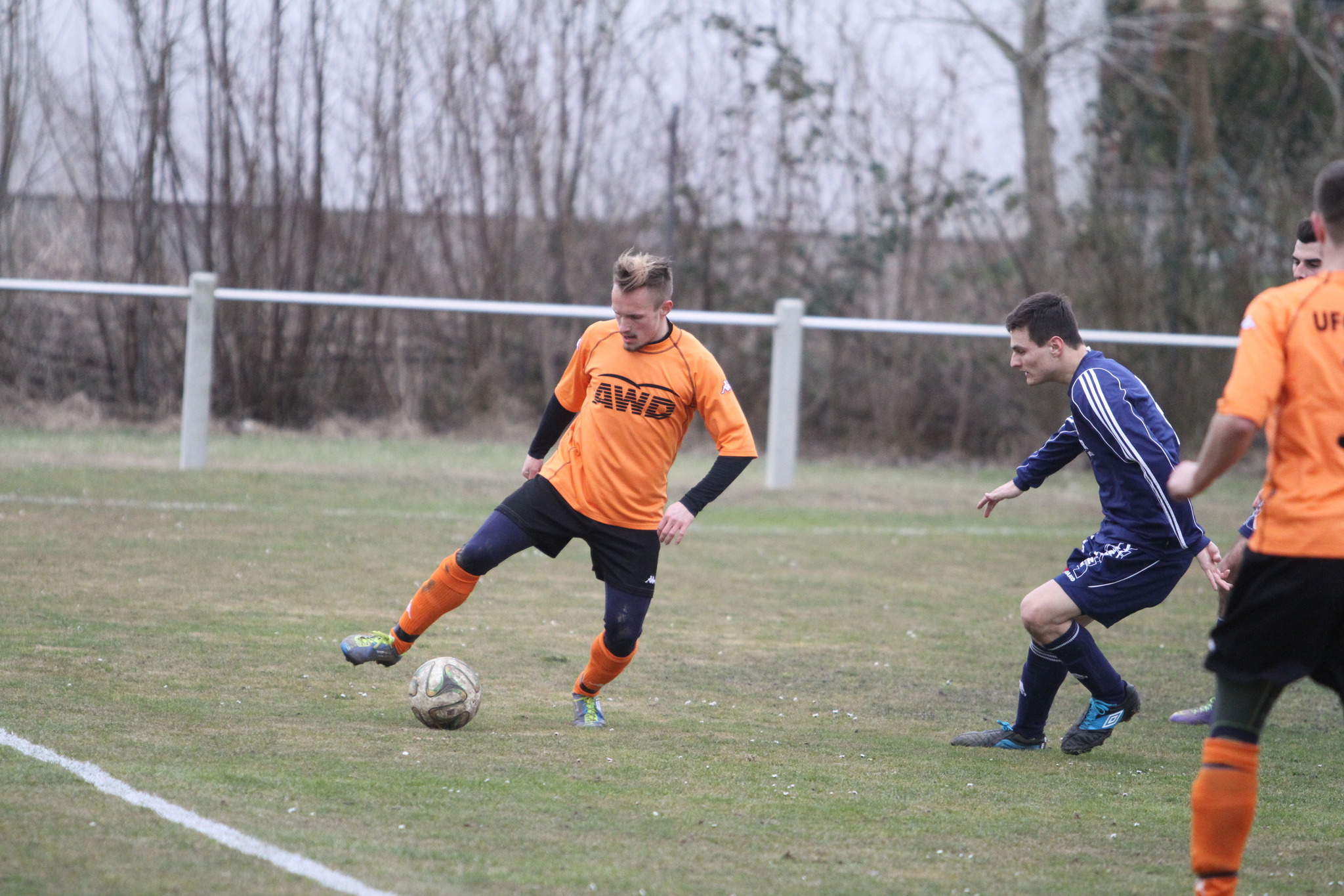 UFC Pama zähmt Purbachs Fohlen - Neusiedl am See