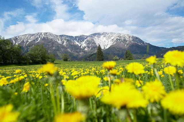 Wiener Alpen setzen auf Wandern, Kultur und Gesundheit - Wiener Neustadt