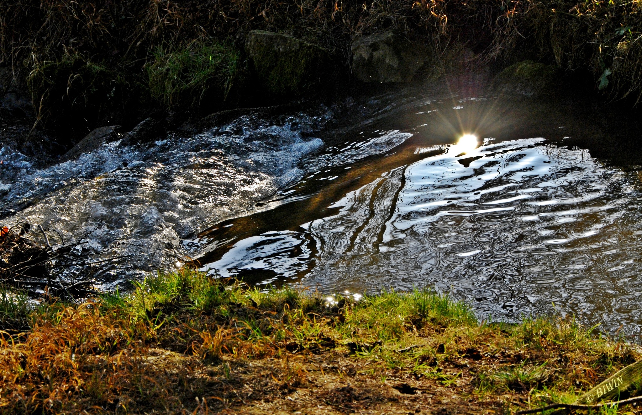 Funkeln am Bächlein .... - Hollabrunn