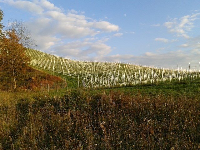 Ein gigantisches Projekt in St.Veit/Glan: Das Chateau Taggenbrunn - St ...