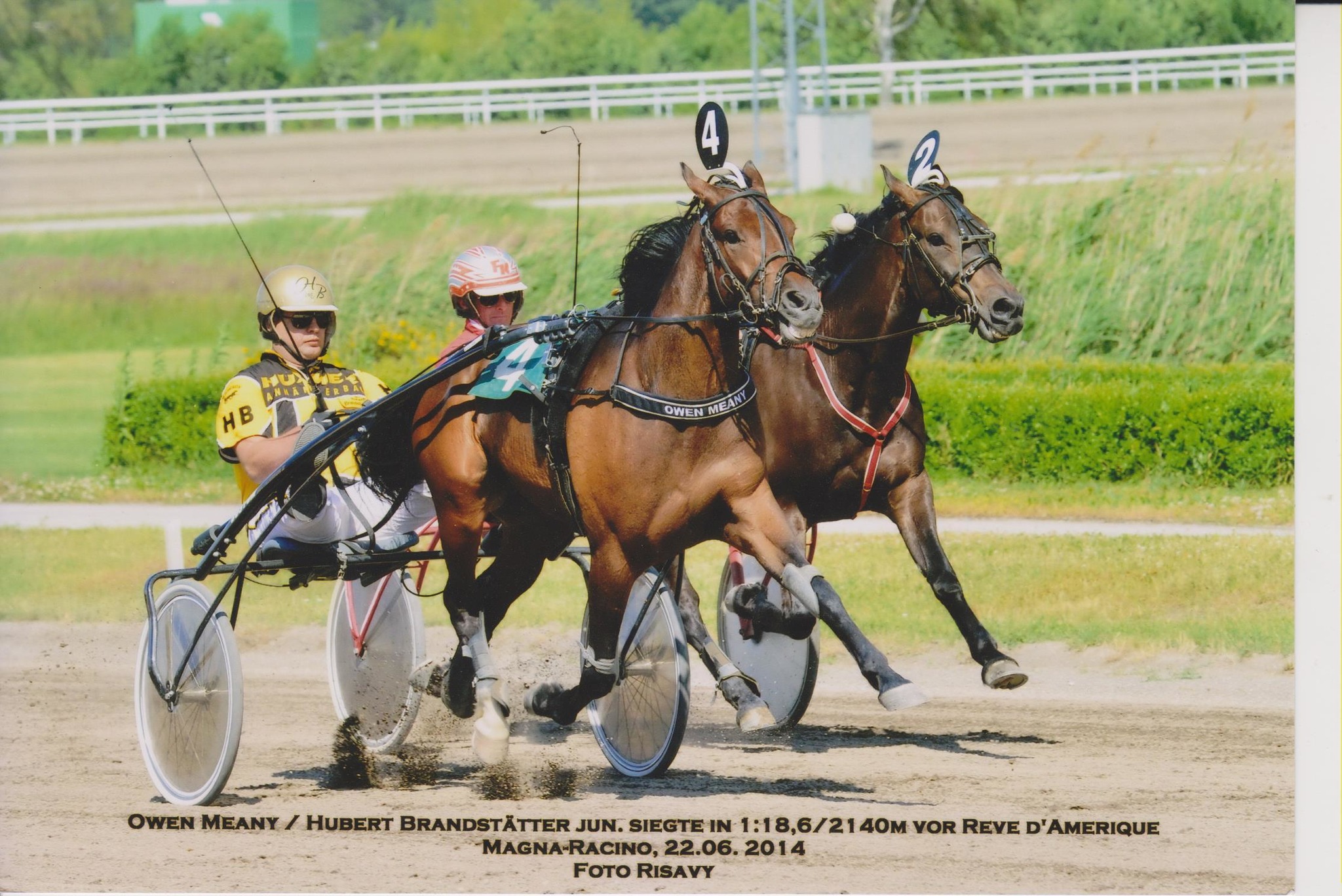 Magna Racino lebt weiter - Steinfeld