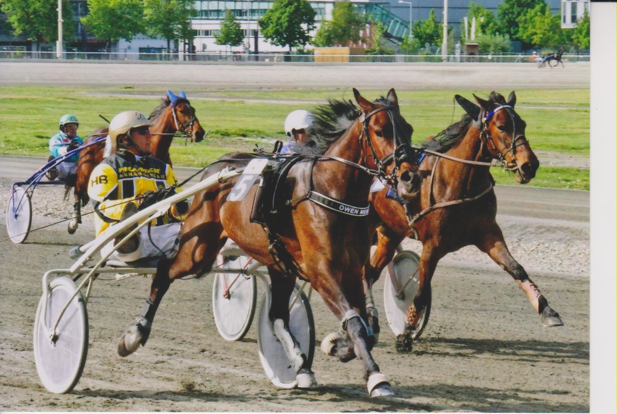 nächster Trabrenntag 30. März 2015 im Magna Racino - Steinfeld