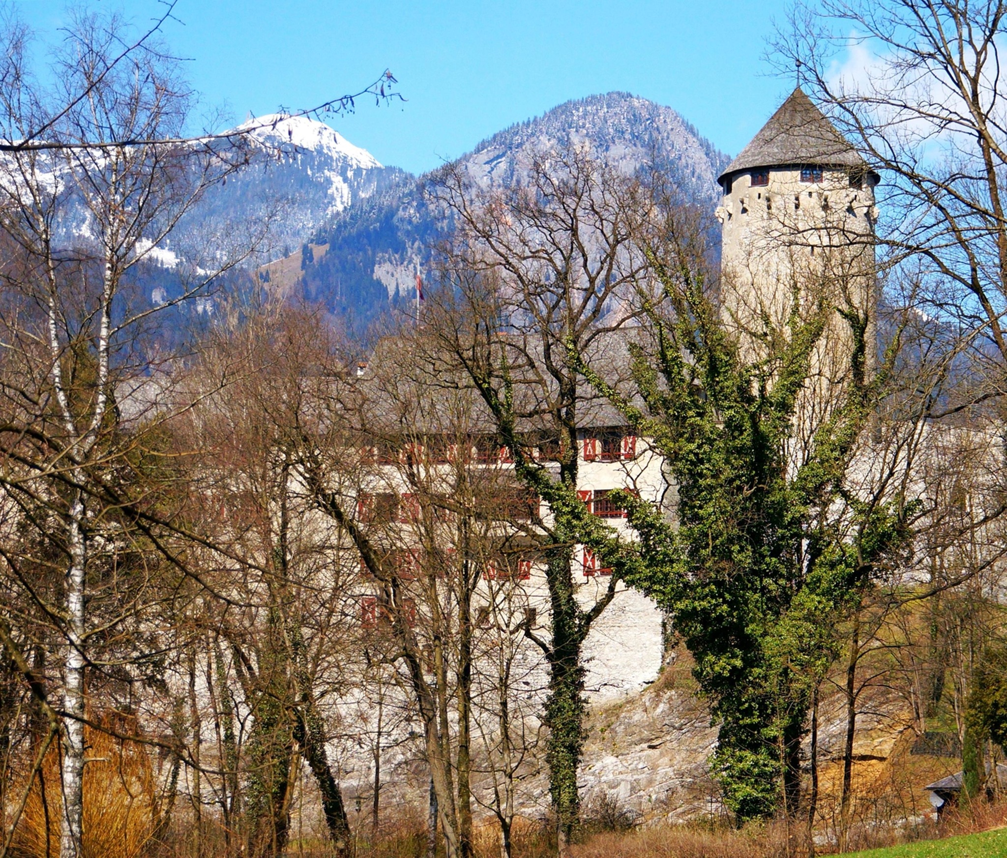 "BAUMKLEID" im Schloßpark Matzen - Kufstein