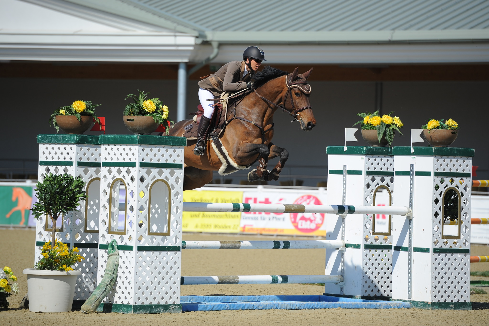 MAGNA RACINO Spring Tour 2015 – Woche II: Mariano Maggi (SWE) zeigt im ...