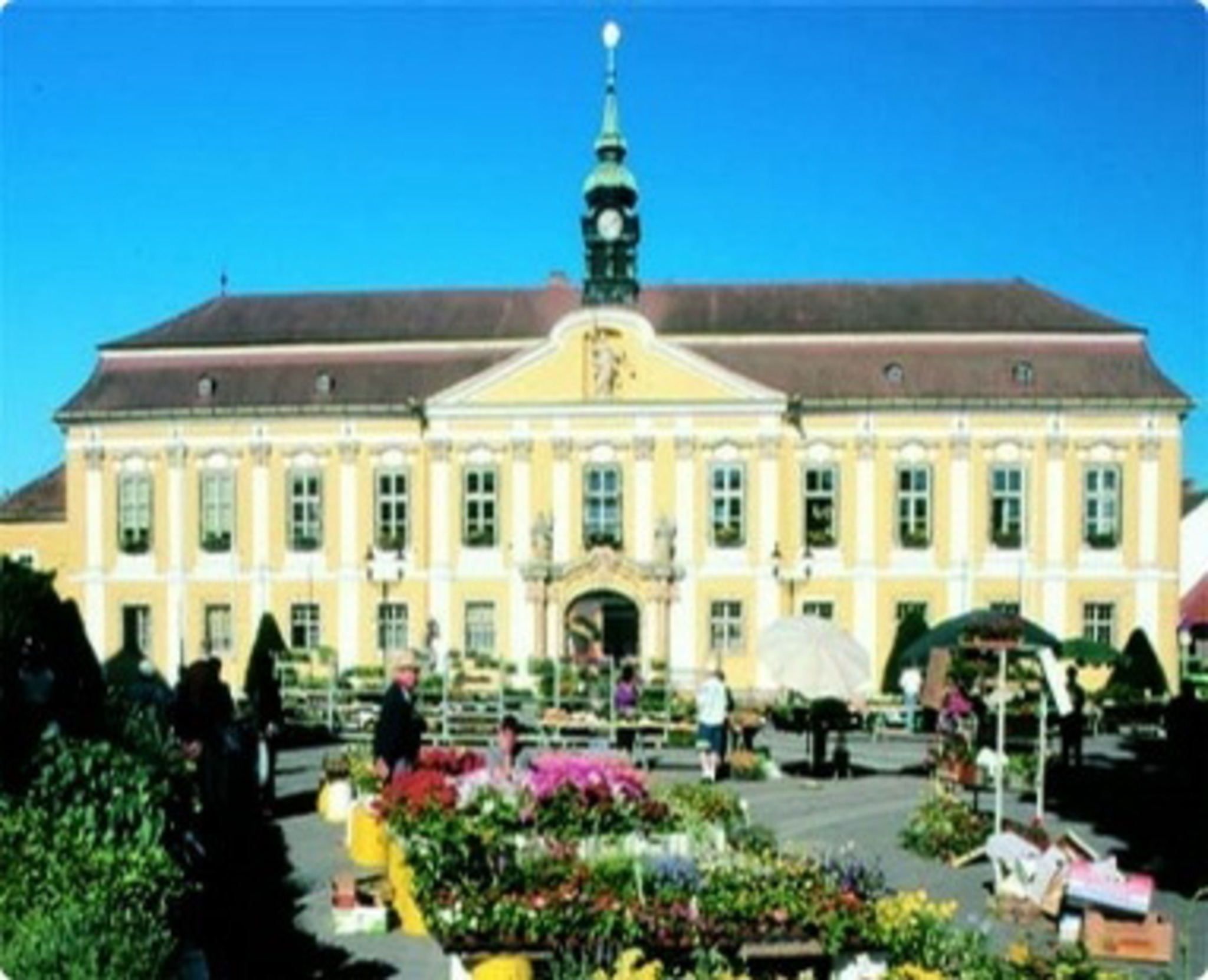 Pflanzentauschbörse in Stockerau - Korneuburg