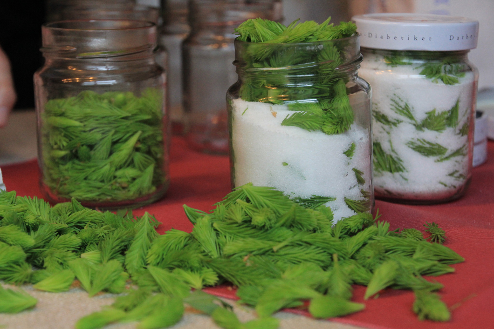 Kräuterwanderung - Maitee - Villach