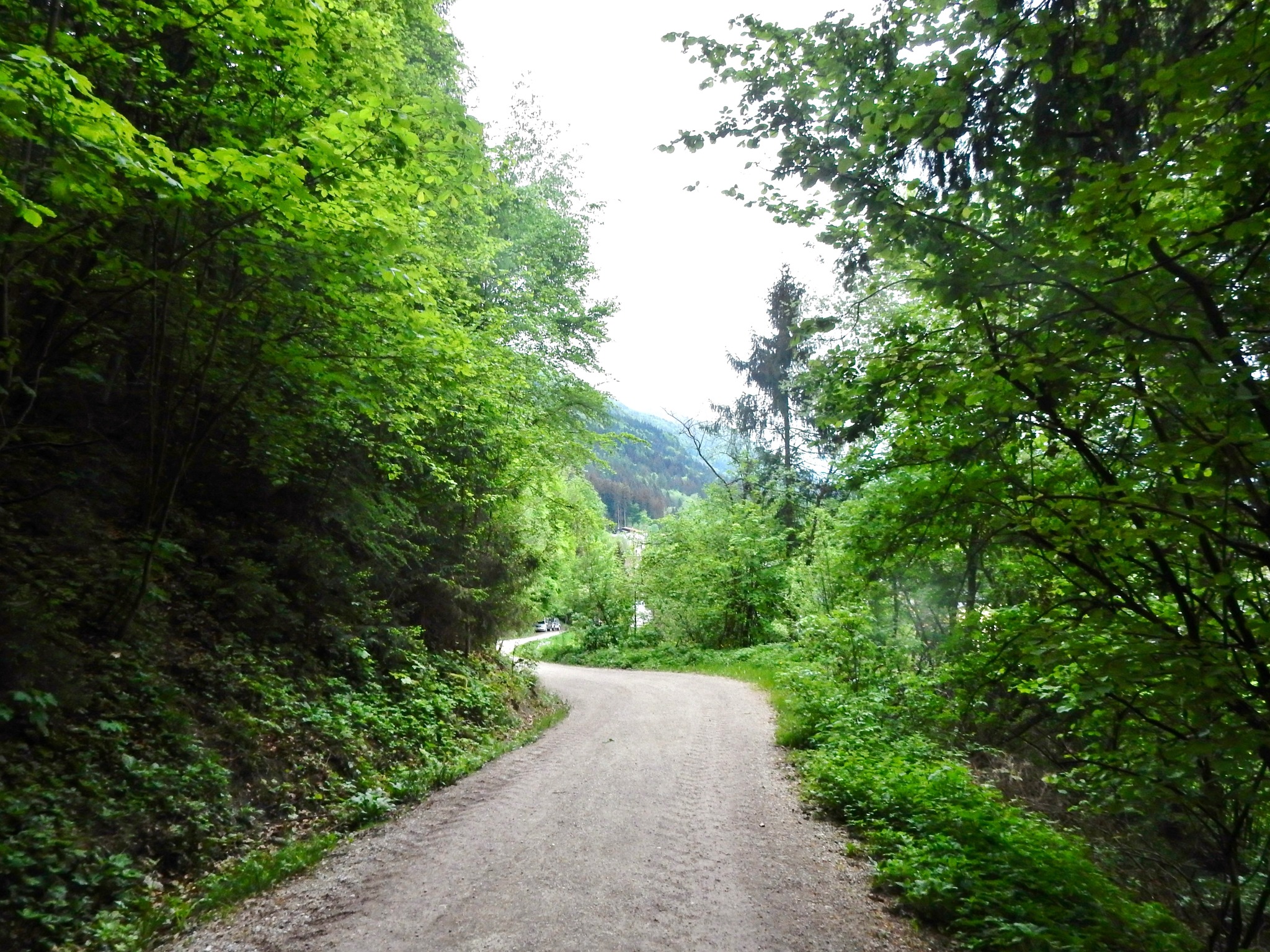 Eine Kleine Wanderung Kitzb hel Eine Kleine Wanderung Kitzb hel