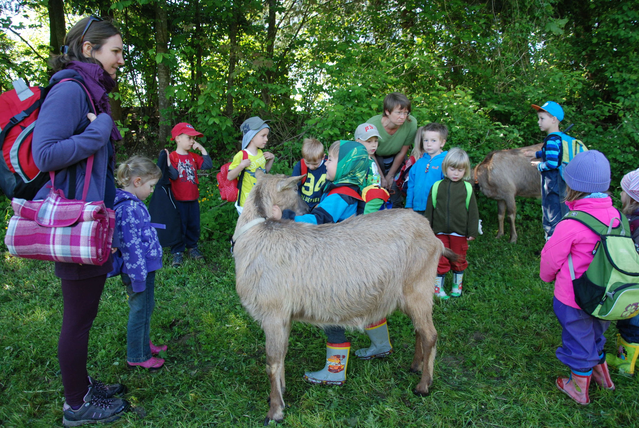 Kindergruppe Moos feiert 10-jähriges Jubiläum - Kirchdorf