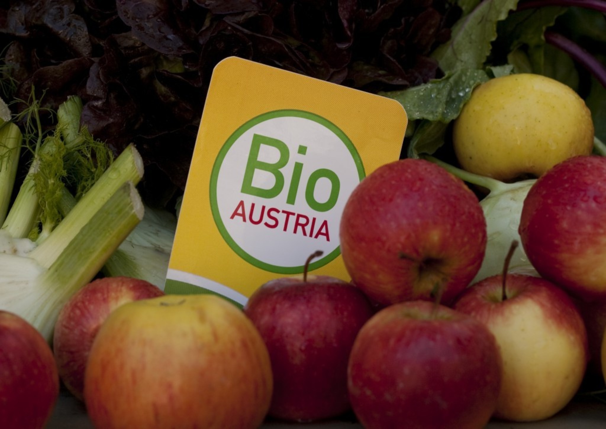 BIO AUSTRIA Tirol - Hall-Rum