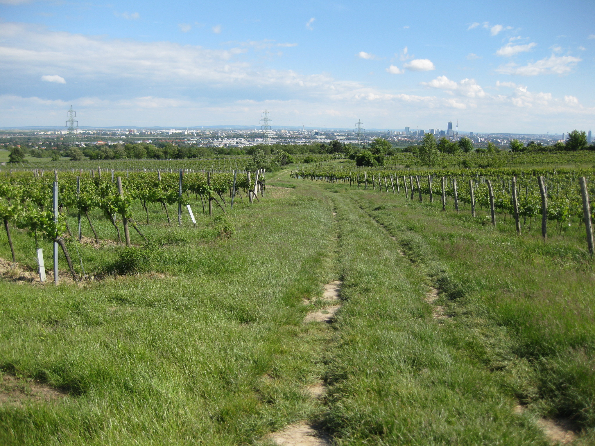 Ein Drittel des 21. Bezirks steht unter Schutz - Floridsdorf