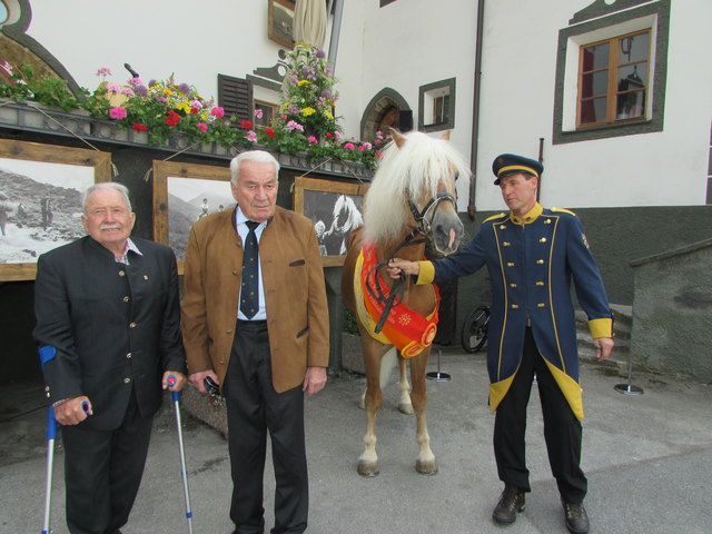 Haflingerweltausstellung beginnt in Zams - Landeck