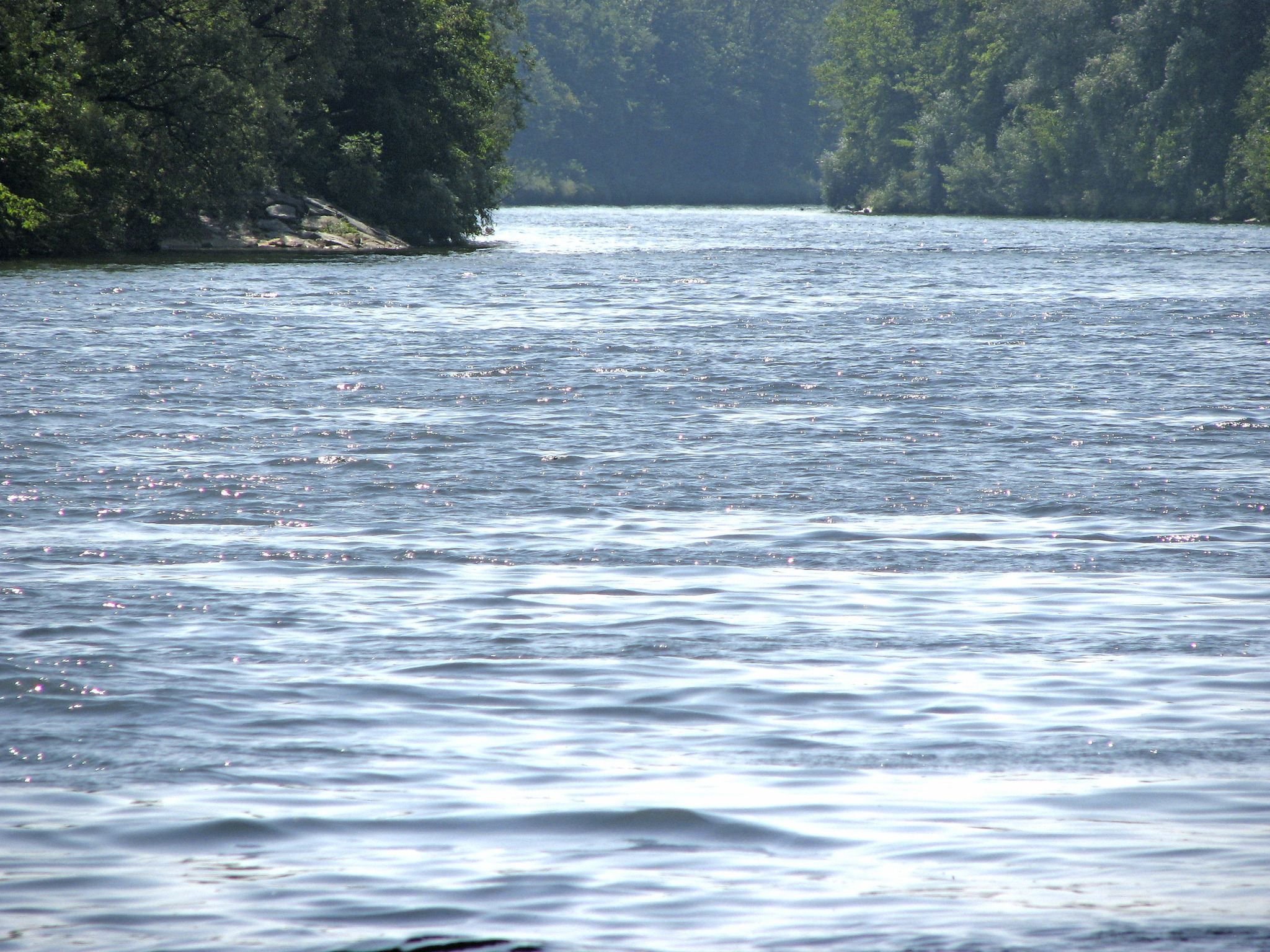 Miteinander im und am Fluss - Wels & Wels Land