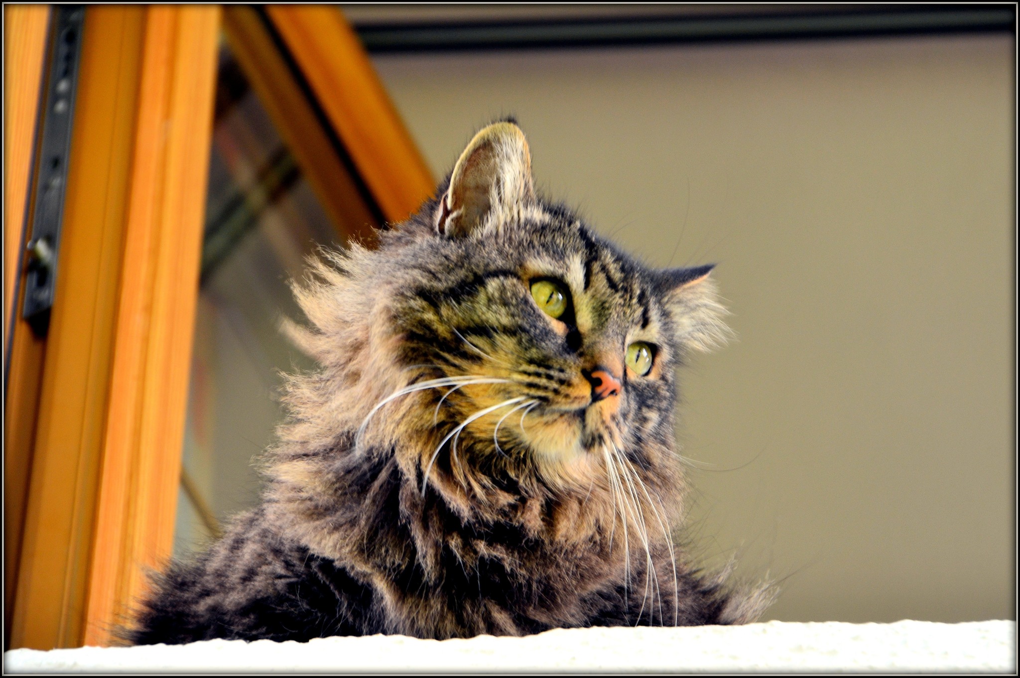 Was gibt es neues *****Maugi beim Fensterblick***** - Telfs