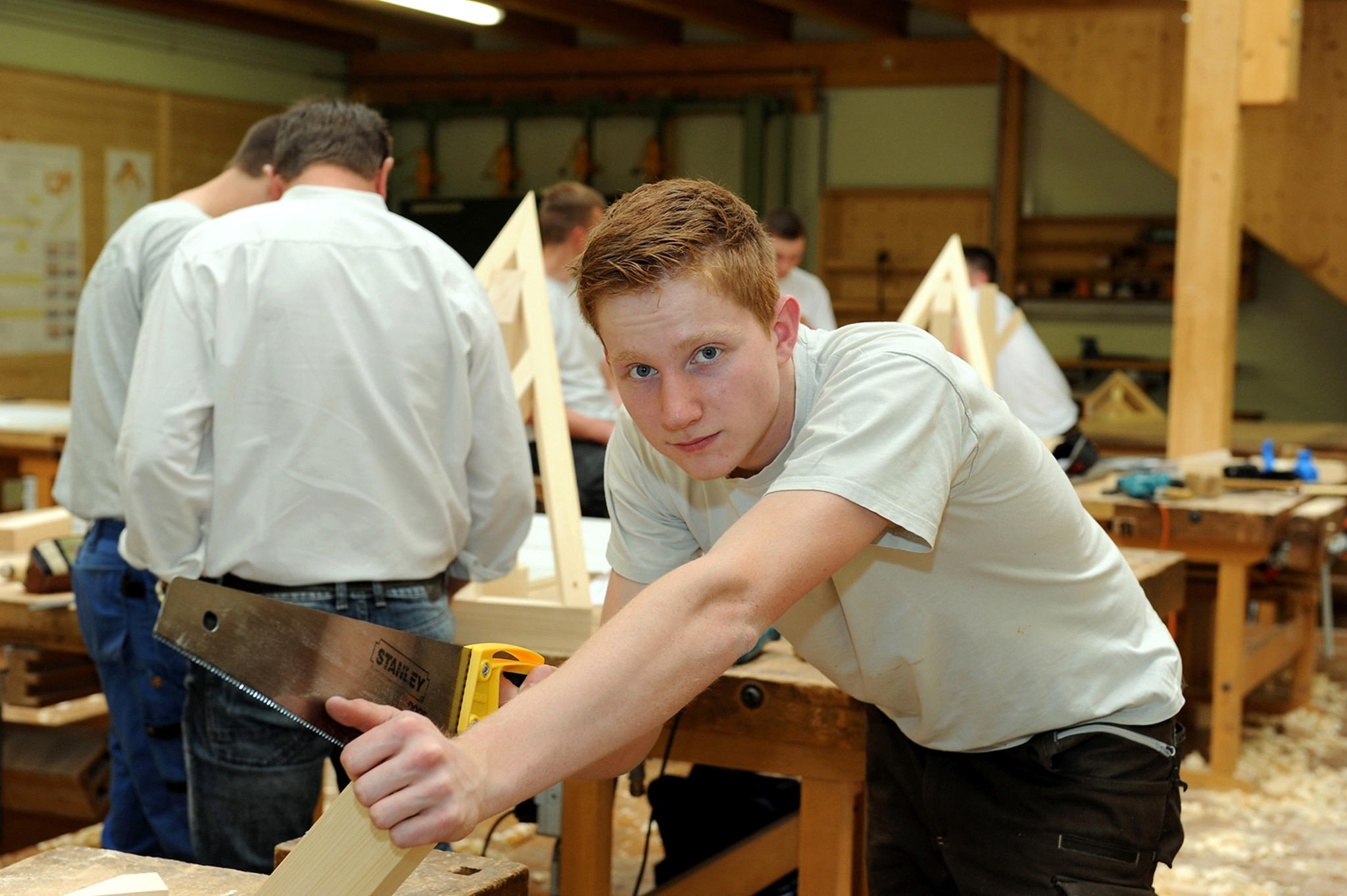 Bester Zimmerer-Lehrling Österreichs kommt aus St. Thomas - Perg