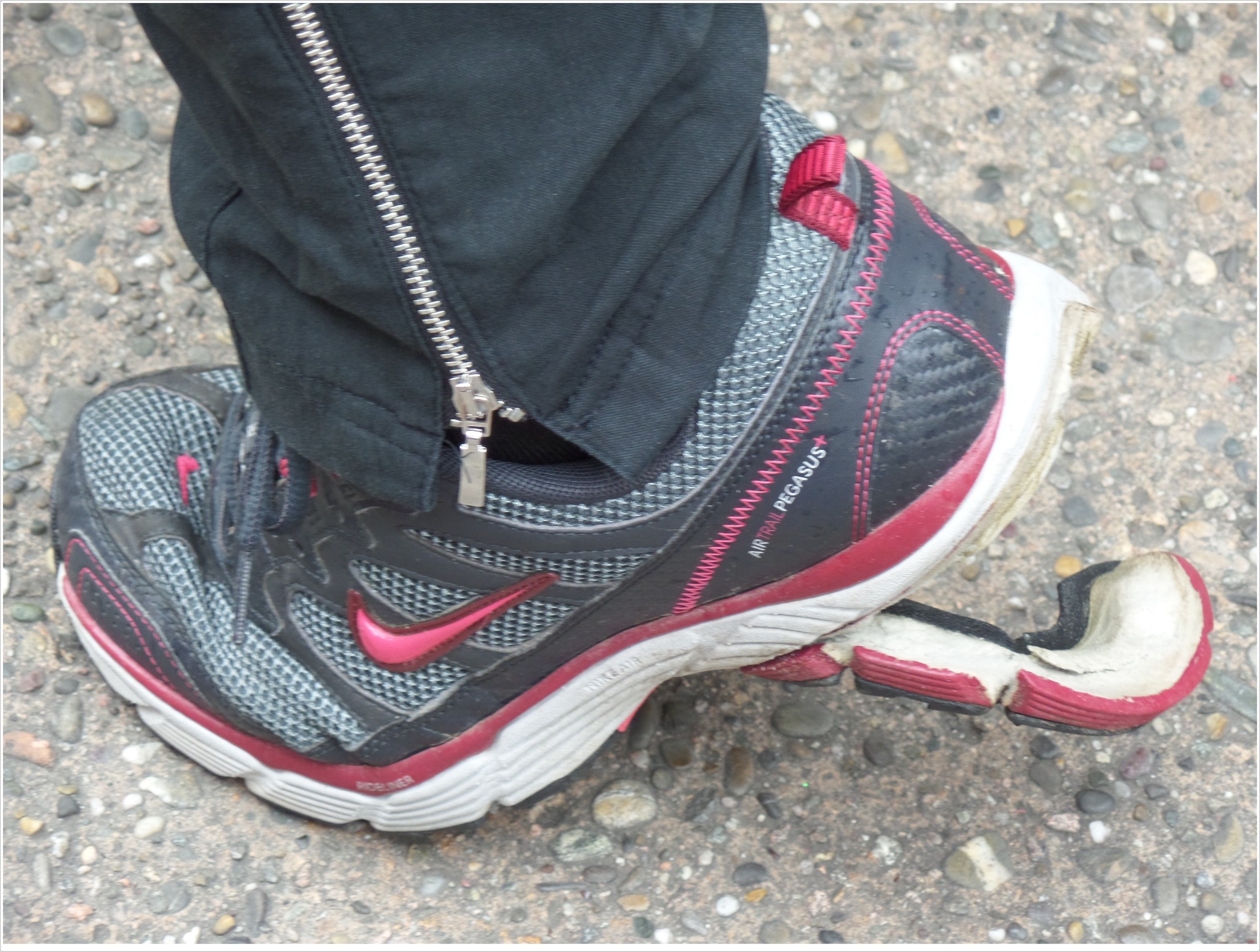 Der konnte leider nicht mithalten! - Landstraße