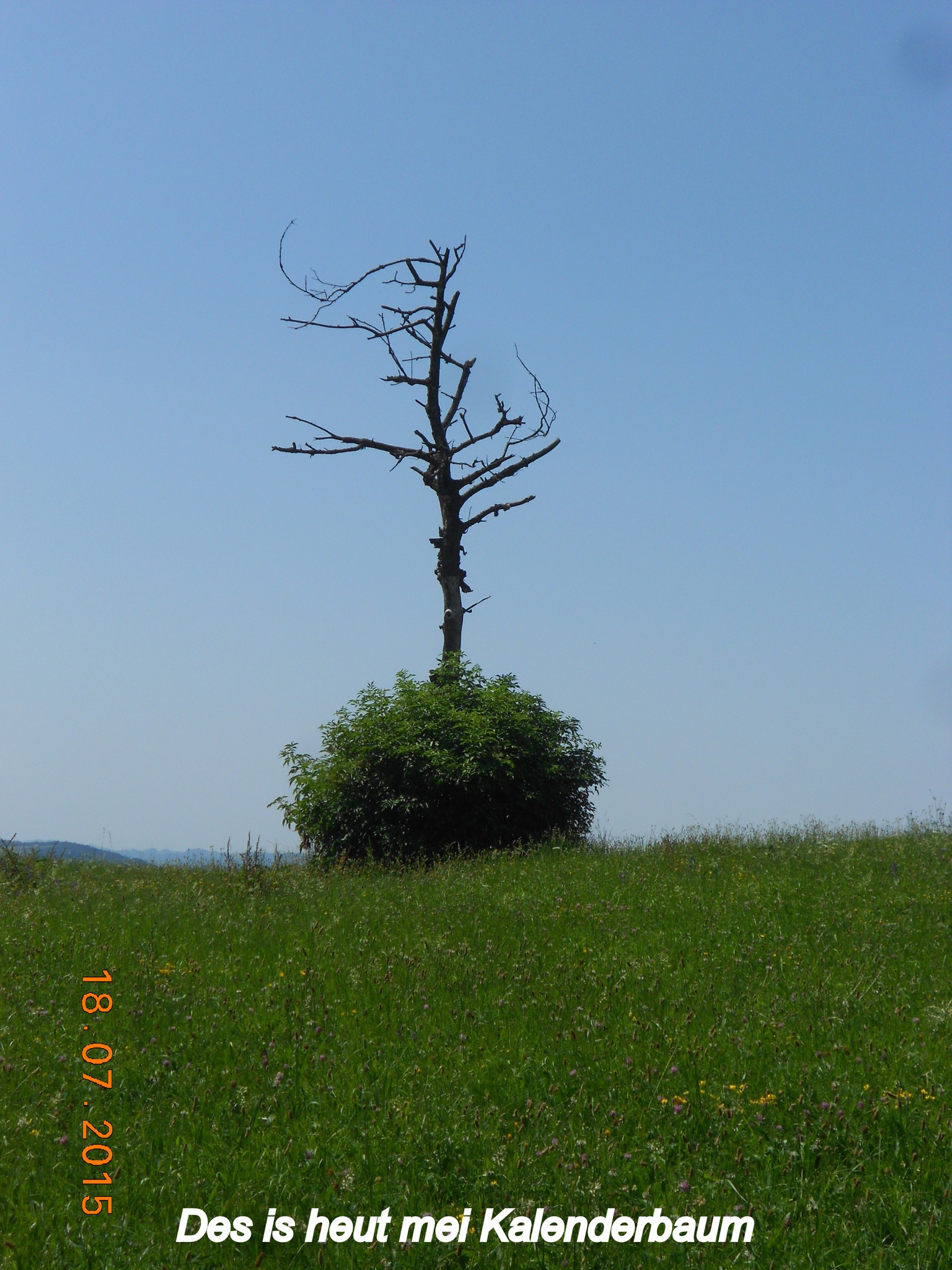 Wieda wos Neich´s...... - Pielachtal