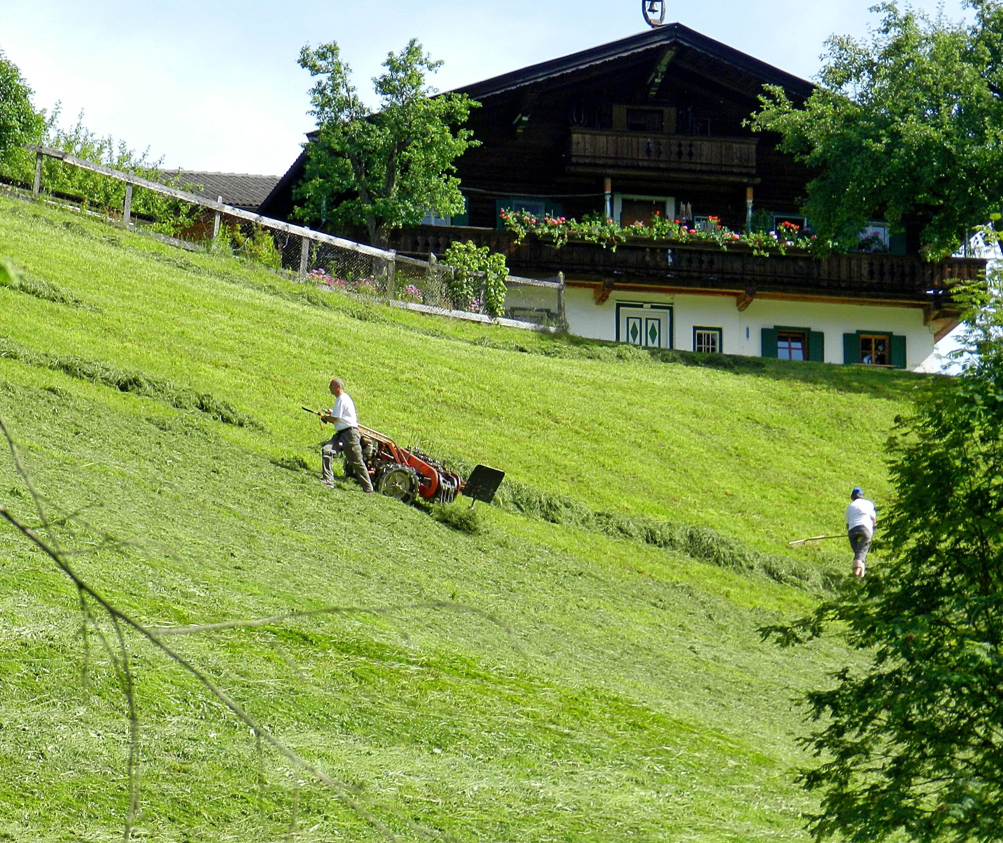 Bergbauer - bei der Arbeit - Kufstein