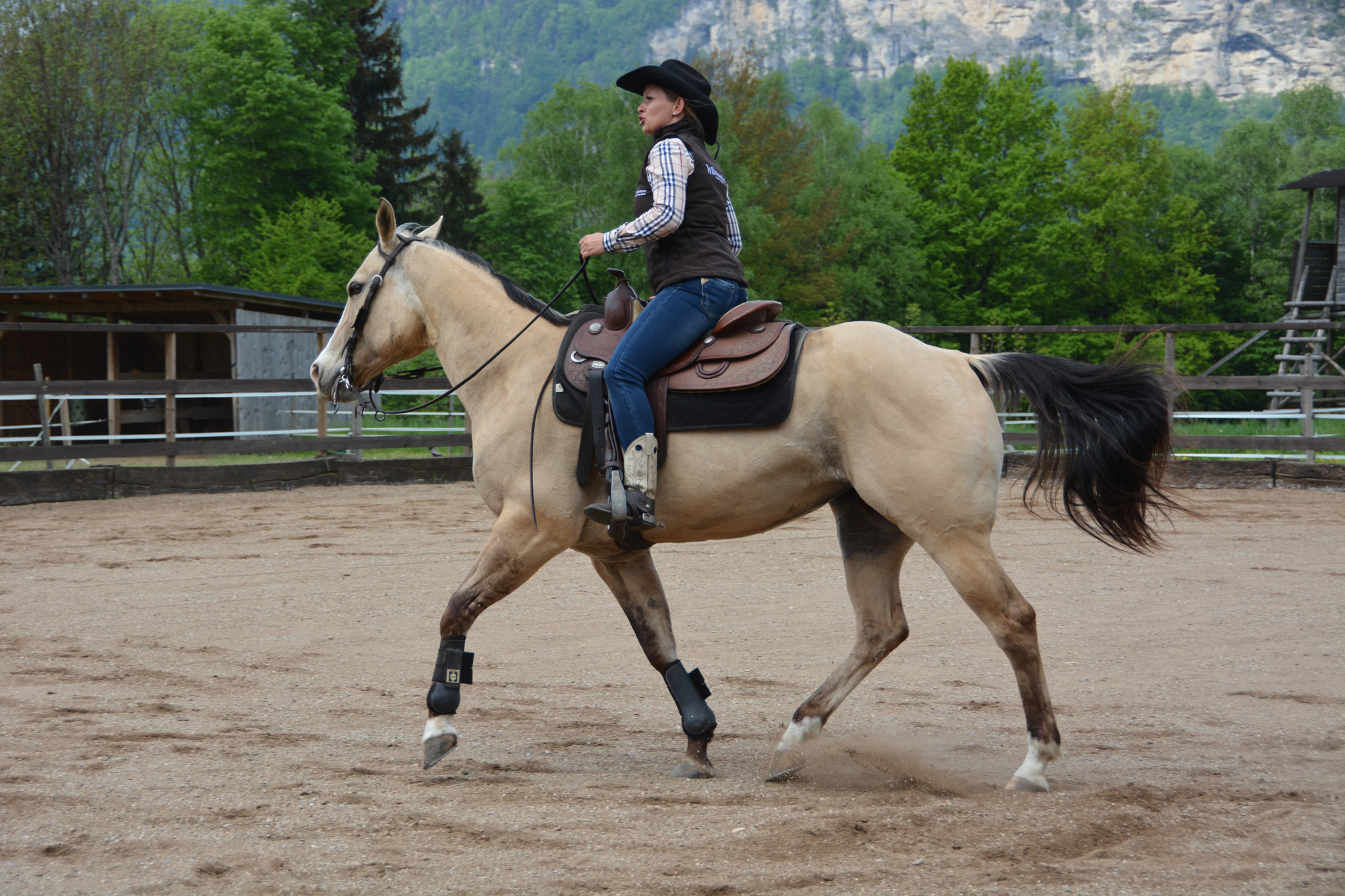 Reiten wie Cowboys im Wilden Westen - Völkermarkt