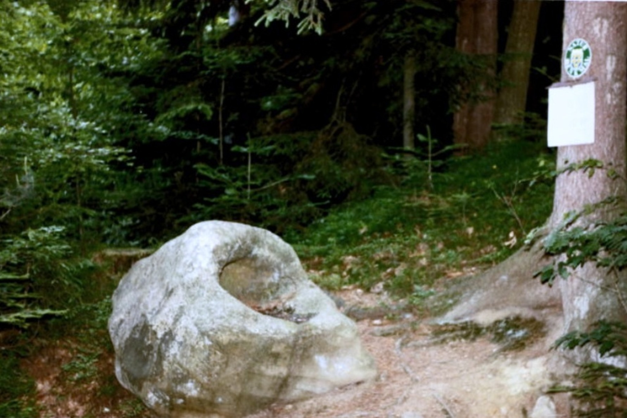 NATURDENKMAL: der Taufstein von Hafning - Neunkirchen