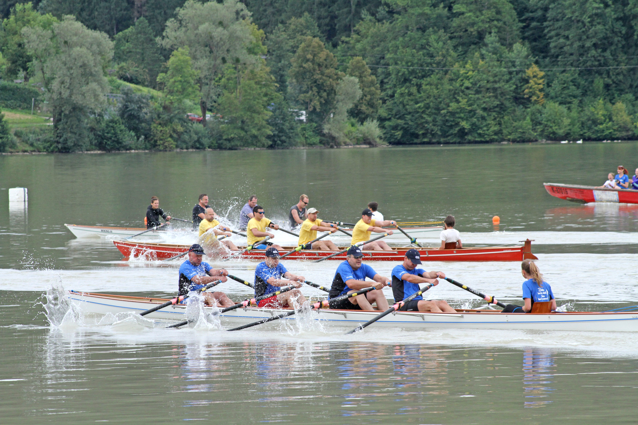Ruderregatta in der Völkermarkter Stauseebucht - Völkermarkt