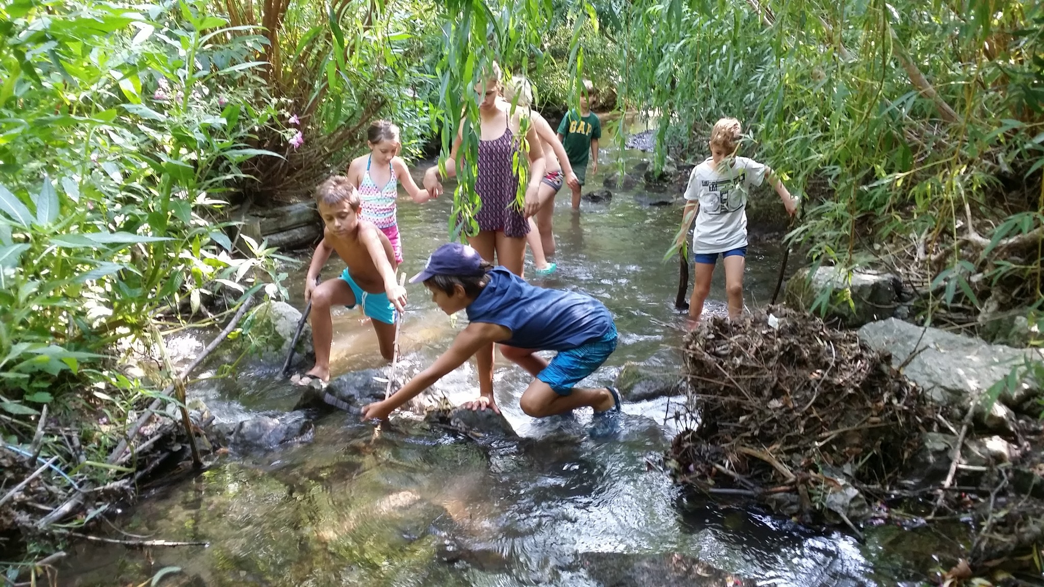 Kleine Forscherdetektive entdecken die Welt - Mödling