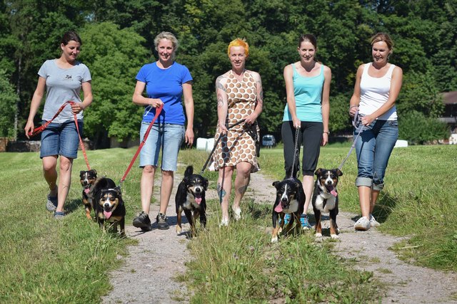 „Tarrenz-Hunde“ bereit für neues Zuhause - Imst