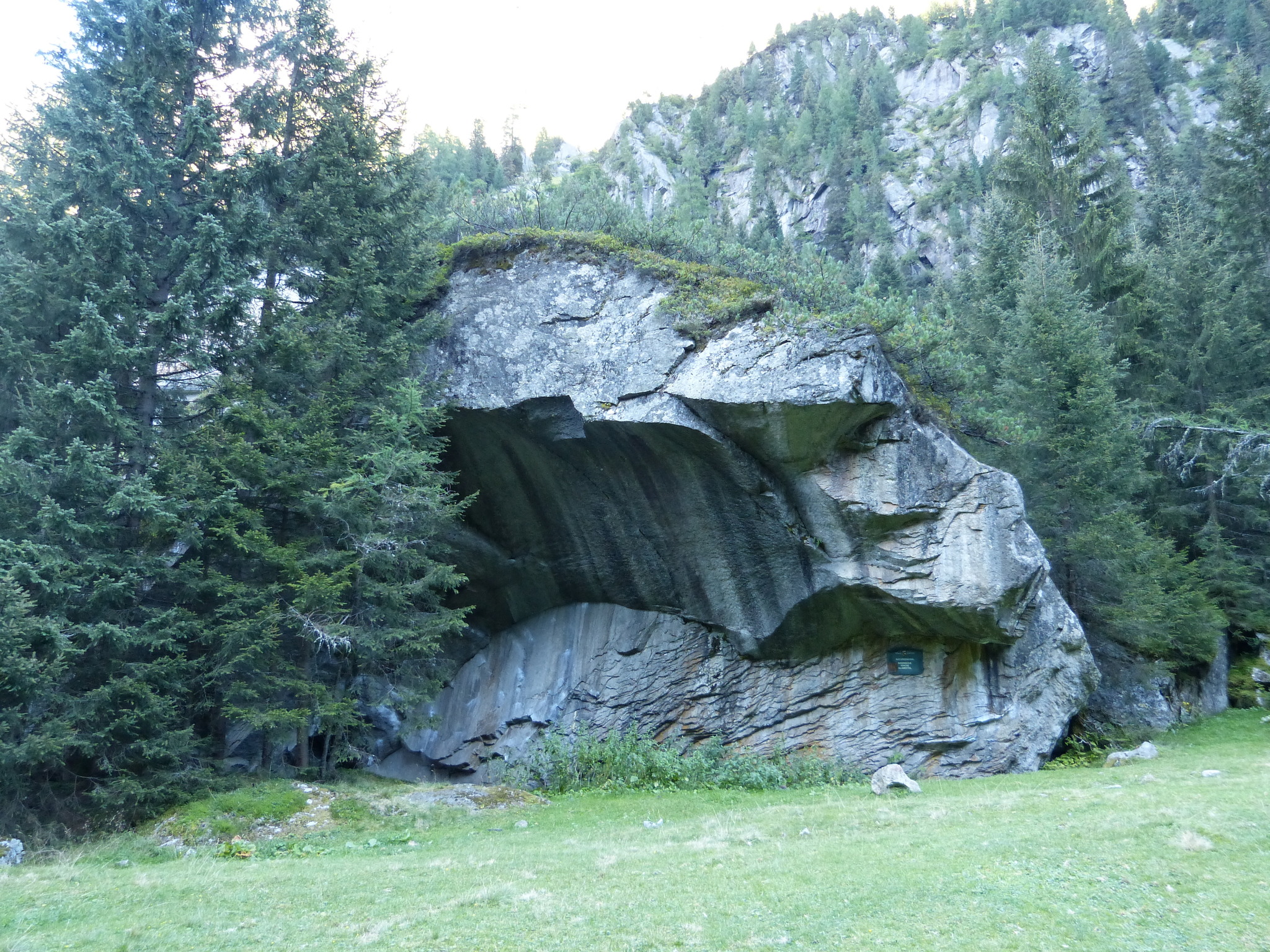 Naturdenkmal beim Elisabethsee - Pinzgau