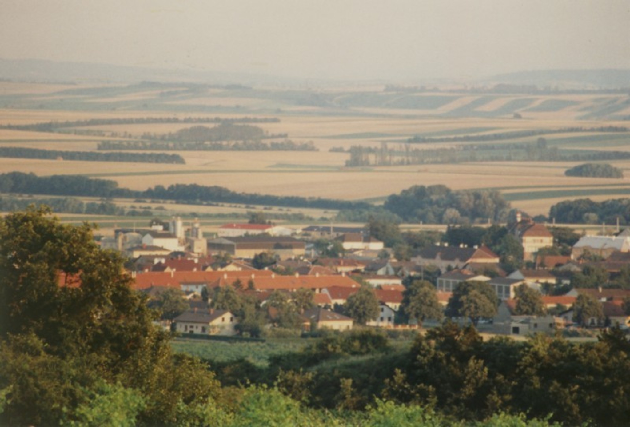 Fotoserie "Retz im Weinviertel": Retzer Altenberg - Ottakring