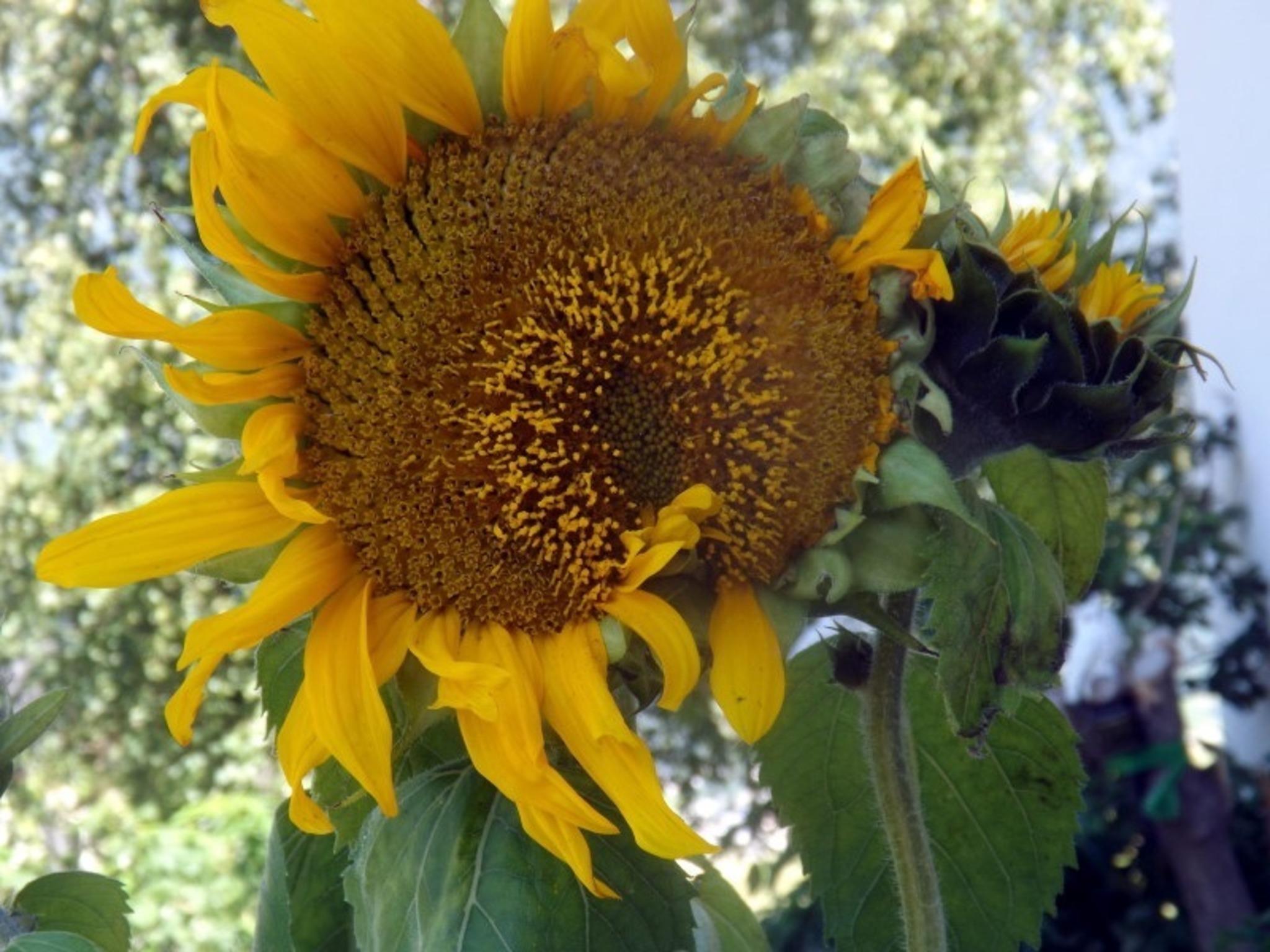 was ist schon "normal"? - Landeck