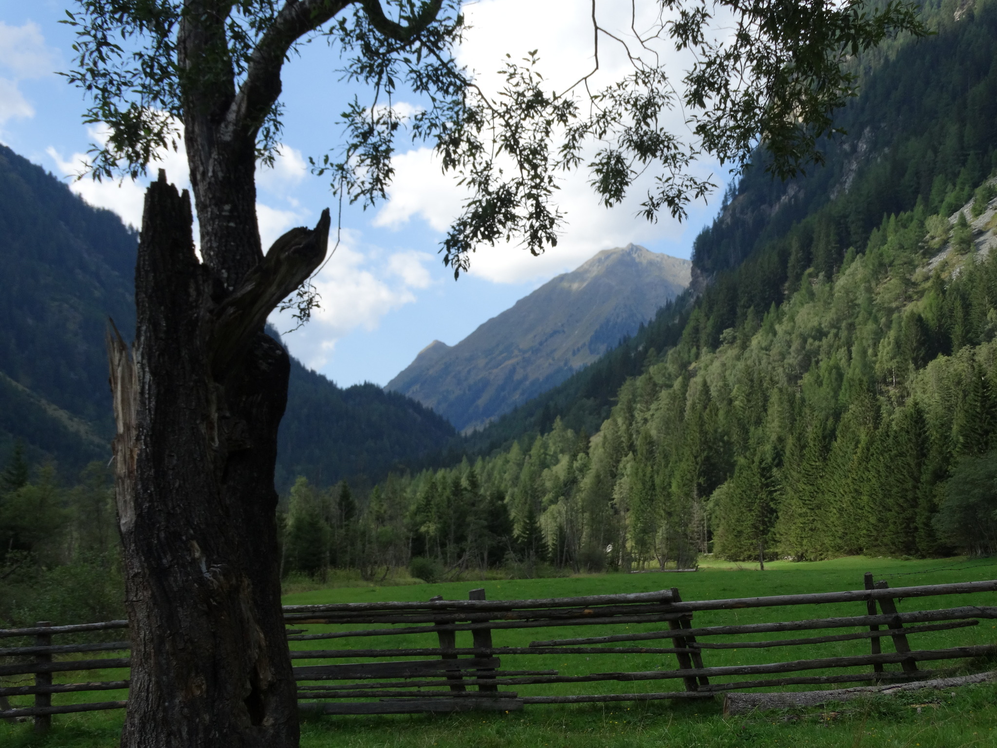 Salzburger Berg und Naturwacht Lungau - Lungau