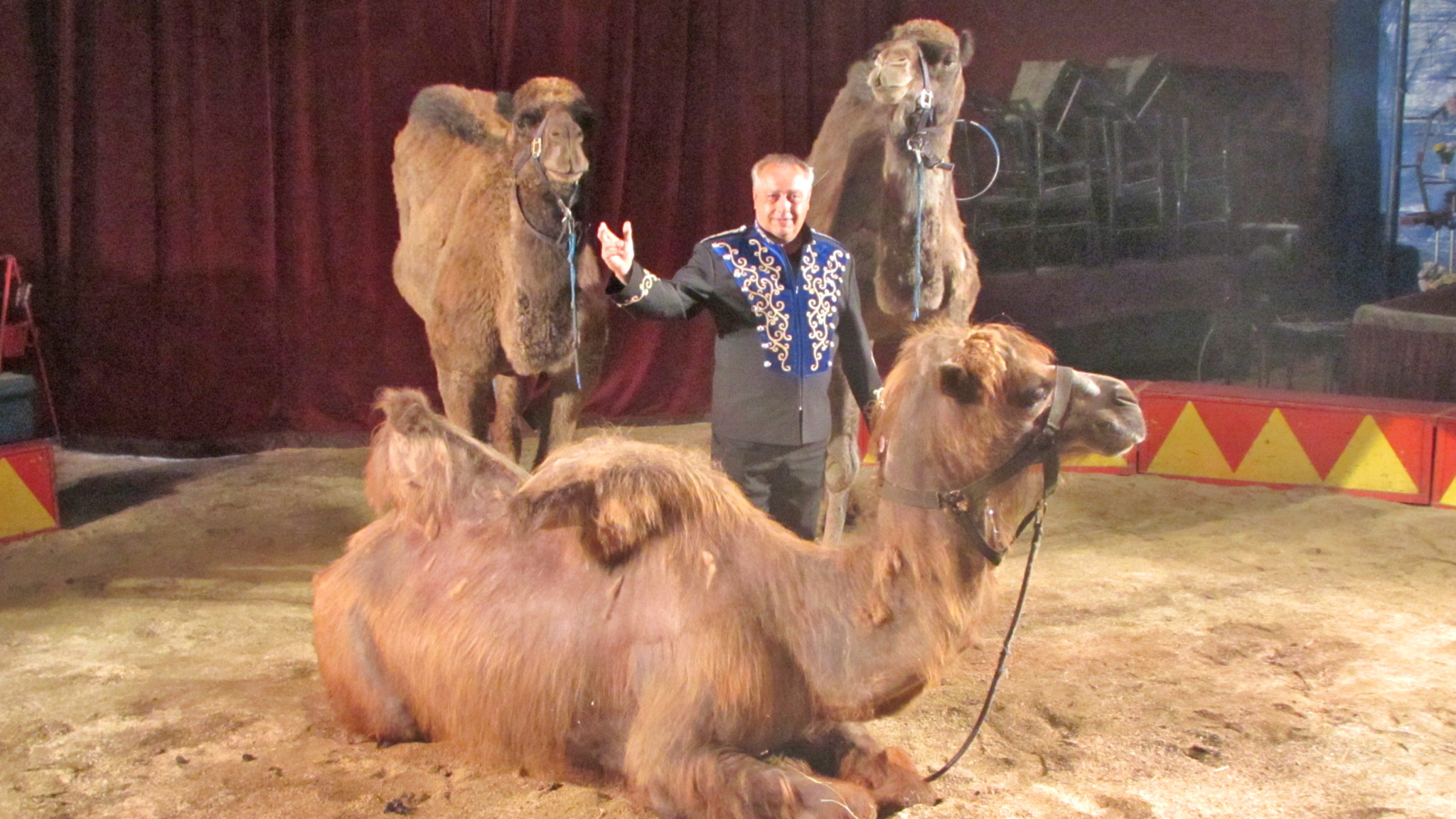 Circus Hans Peter Althoff - Völkermarkt