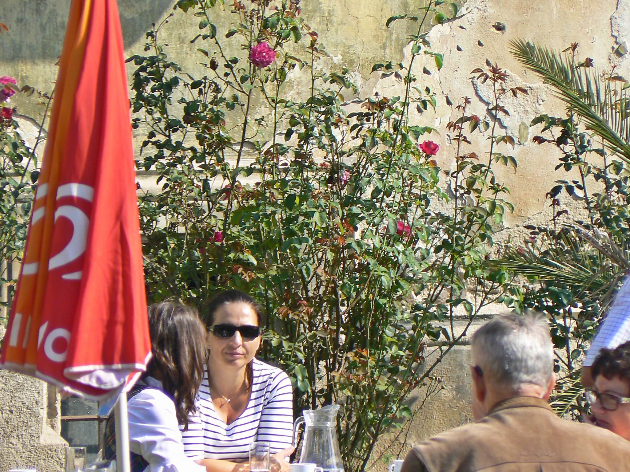 Das Dorffrühstück im Schloss Wolfsthal - Bruck an der Leitha