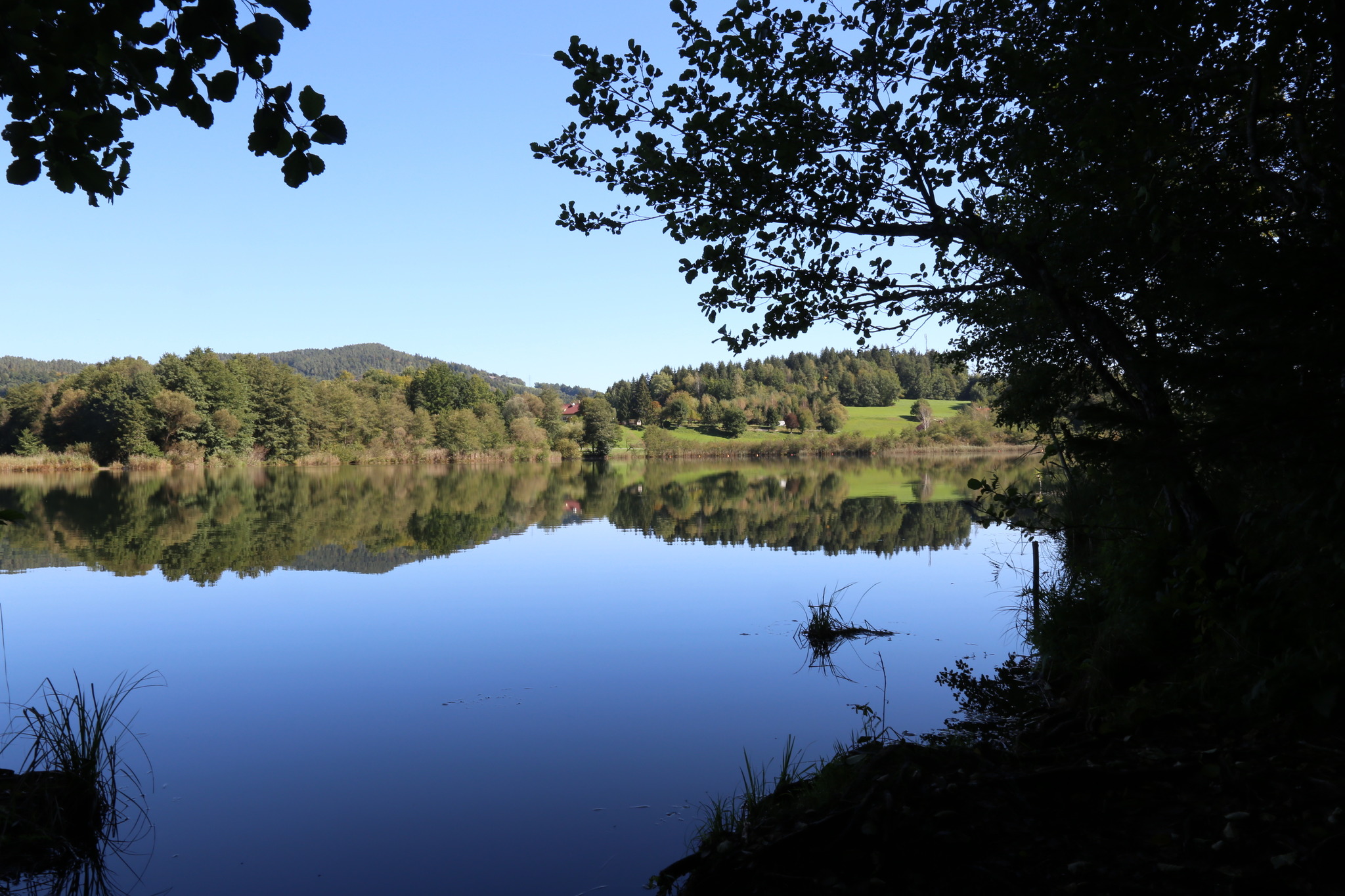 Spaziergang rund um den Rauschelesee - Innsbruck