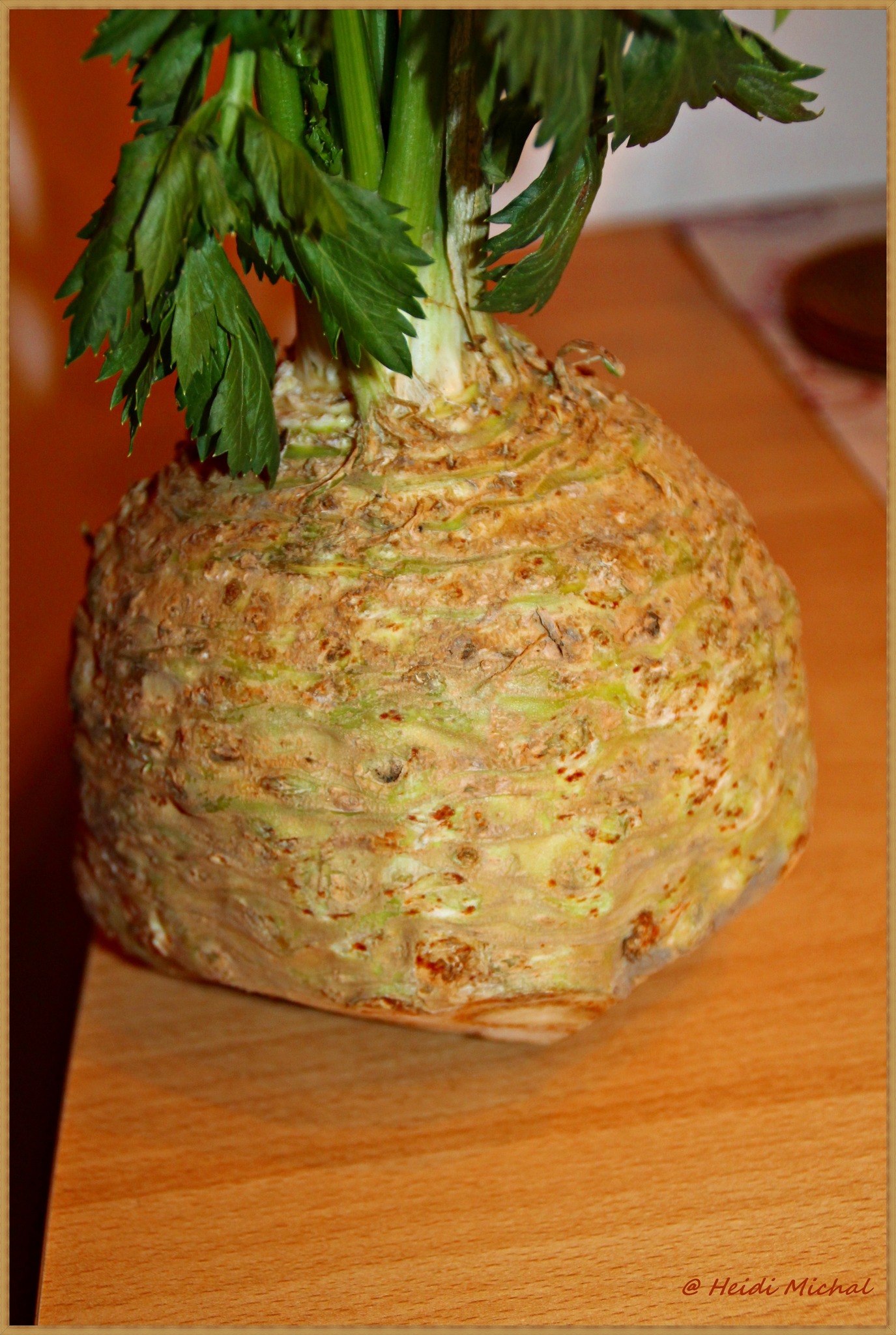 Der Rätsels Lösung:Knollensellerie - Favoriten