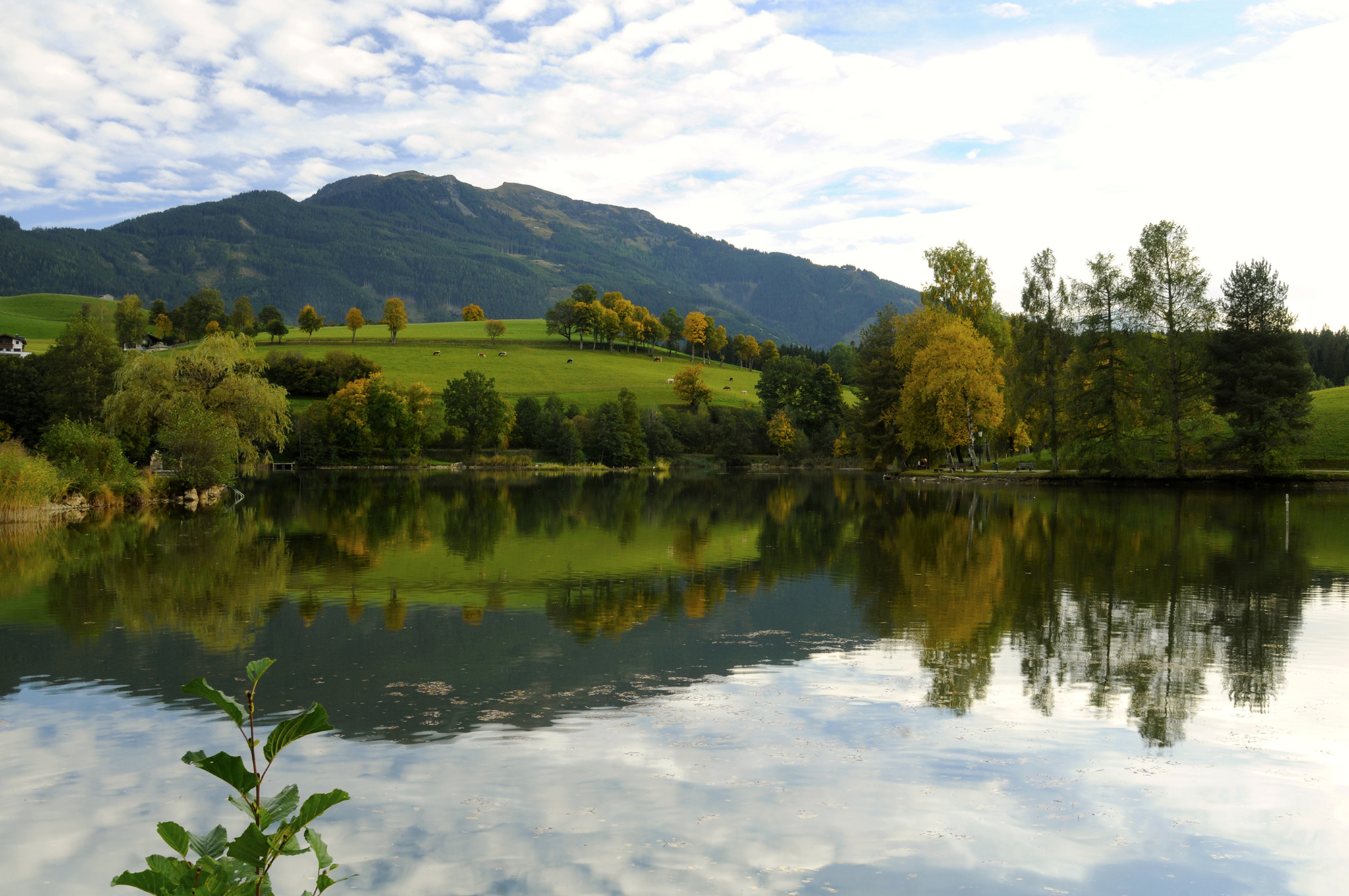 eine Runde um den See - Pinzgau