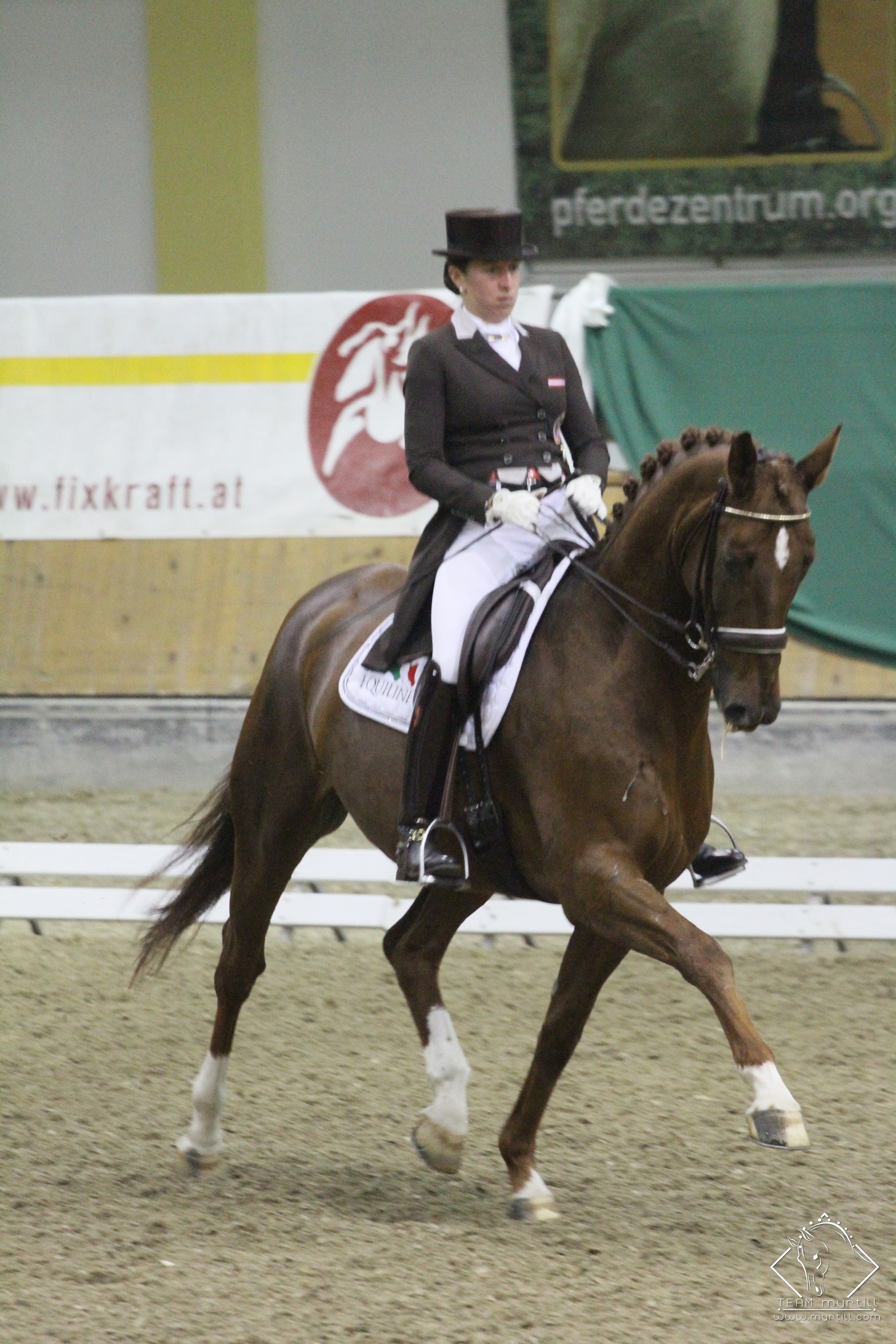 Haager Profi-Reiterin glänzte bei Turnier - Grieskirchen & Eferding