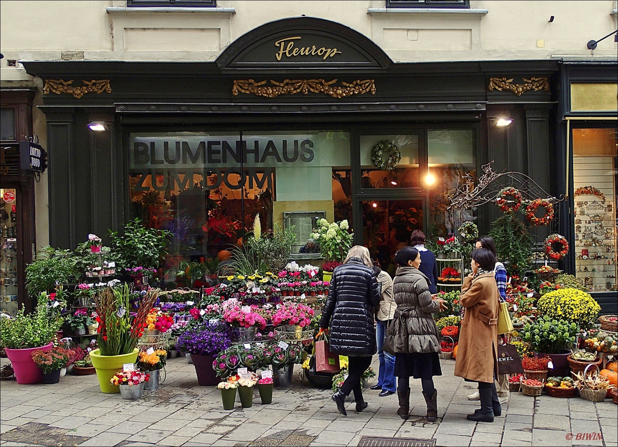 Blumenhaus zum Dom - Innere Stadt