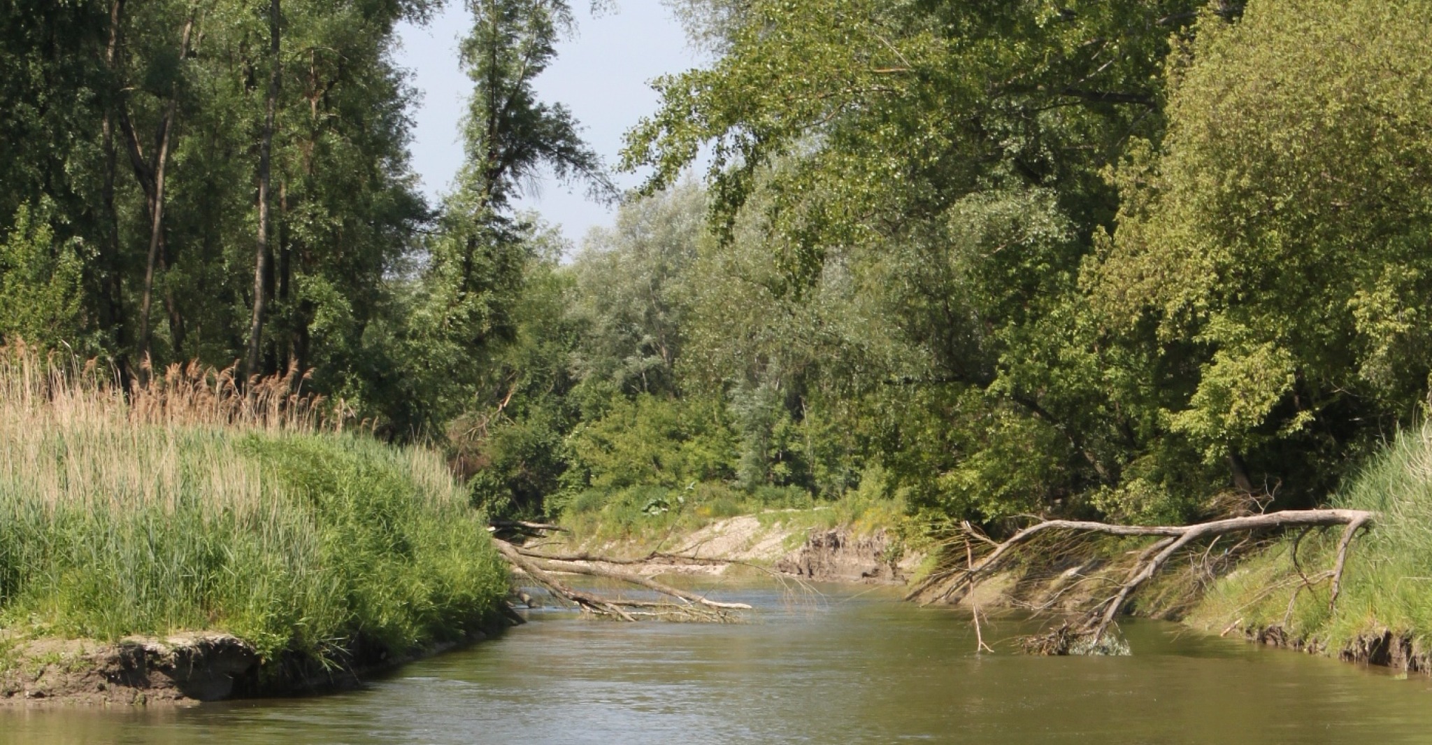 Lernen vom Fluss - Bruck an der Leitha