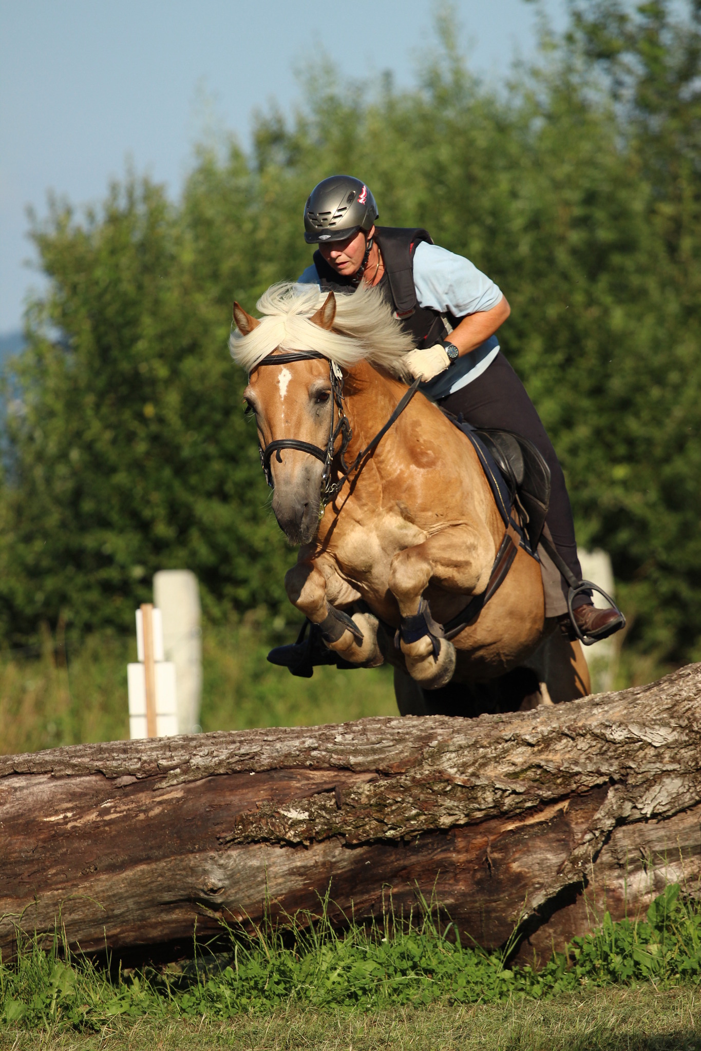 TREC Team Gams erneut erfolgreich - Liezen