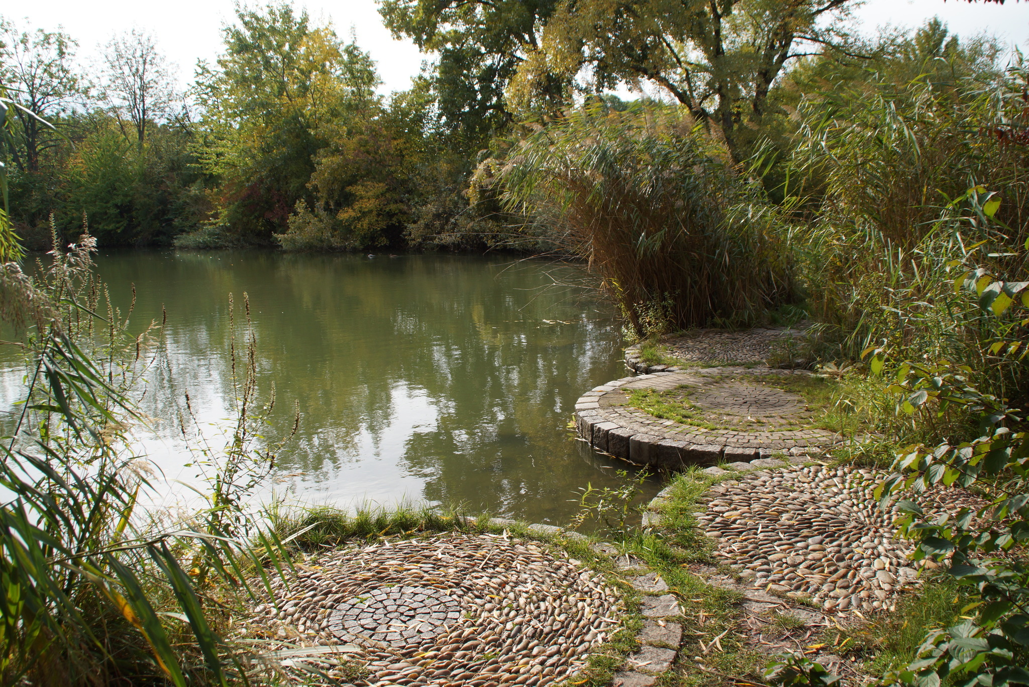 Teich im Herbst - Liesing