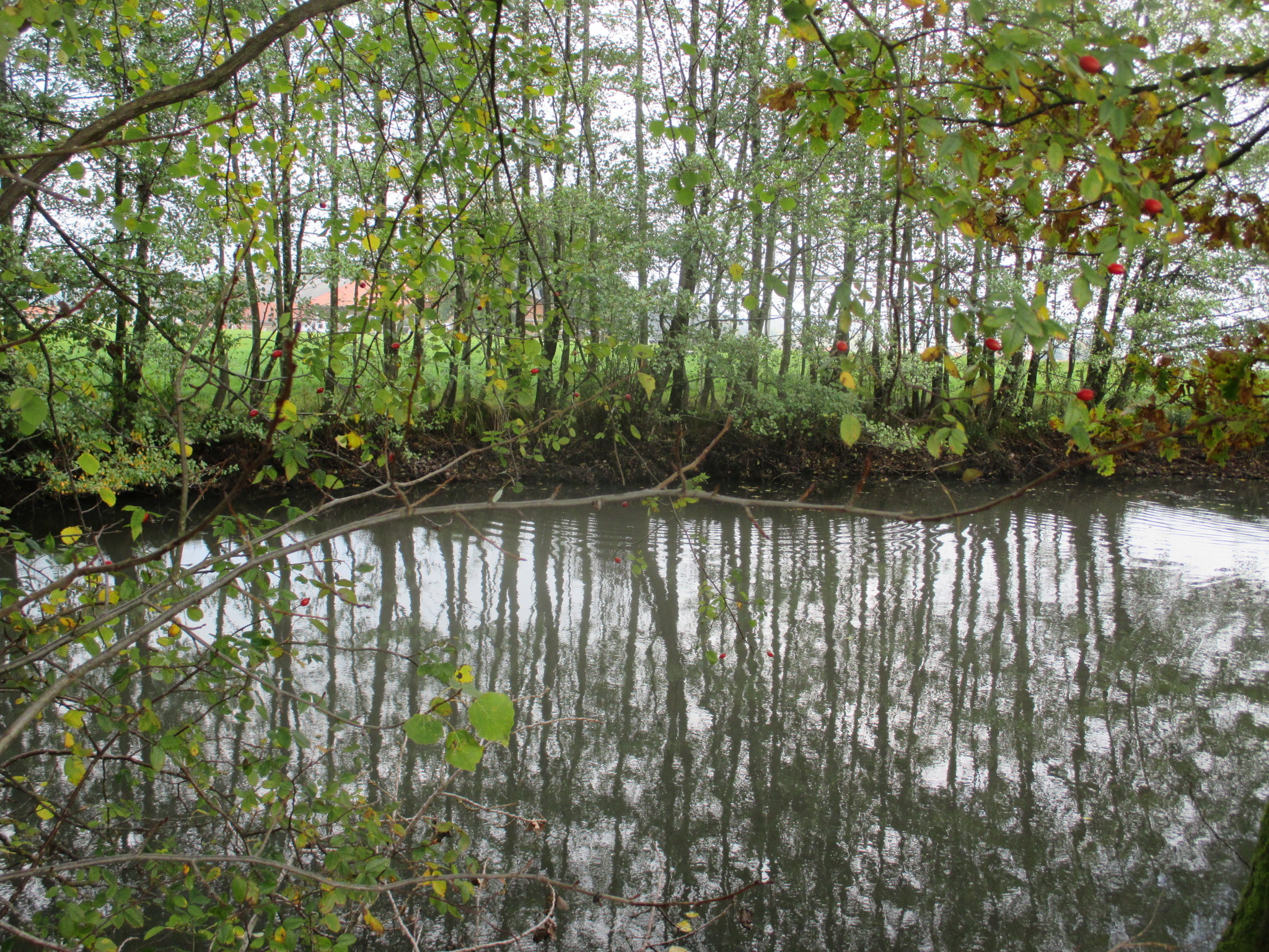 Es wird still am Weier - Flachgau