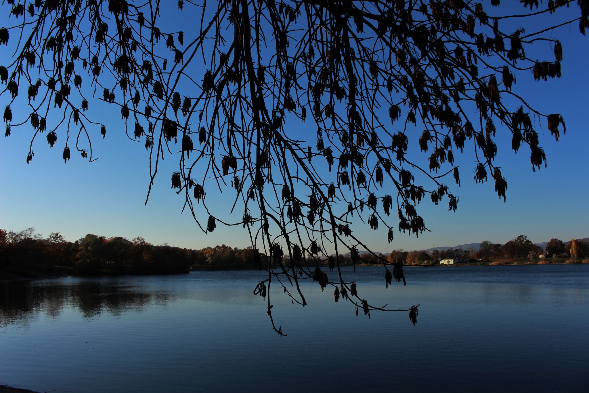 Pichlingersee "Spiegelglatt" am blauen Montag :-) - Linz